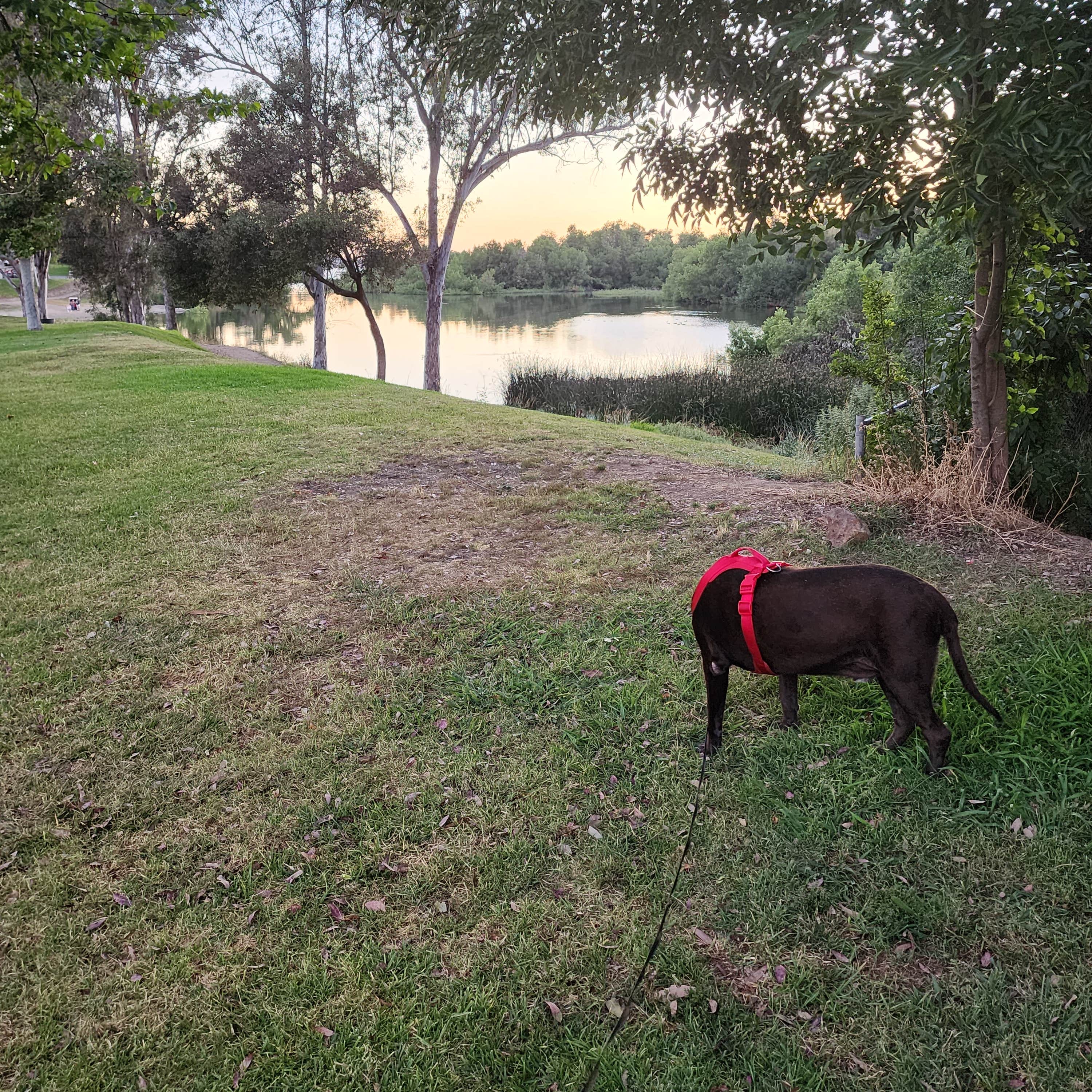 Bonelli Bluffs Camping | South El Monte, California