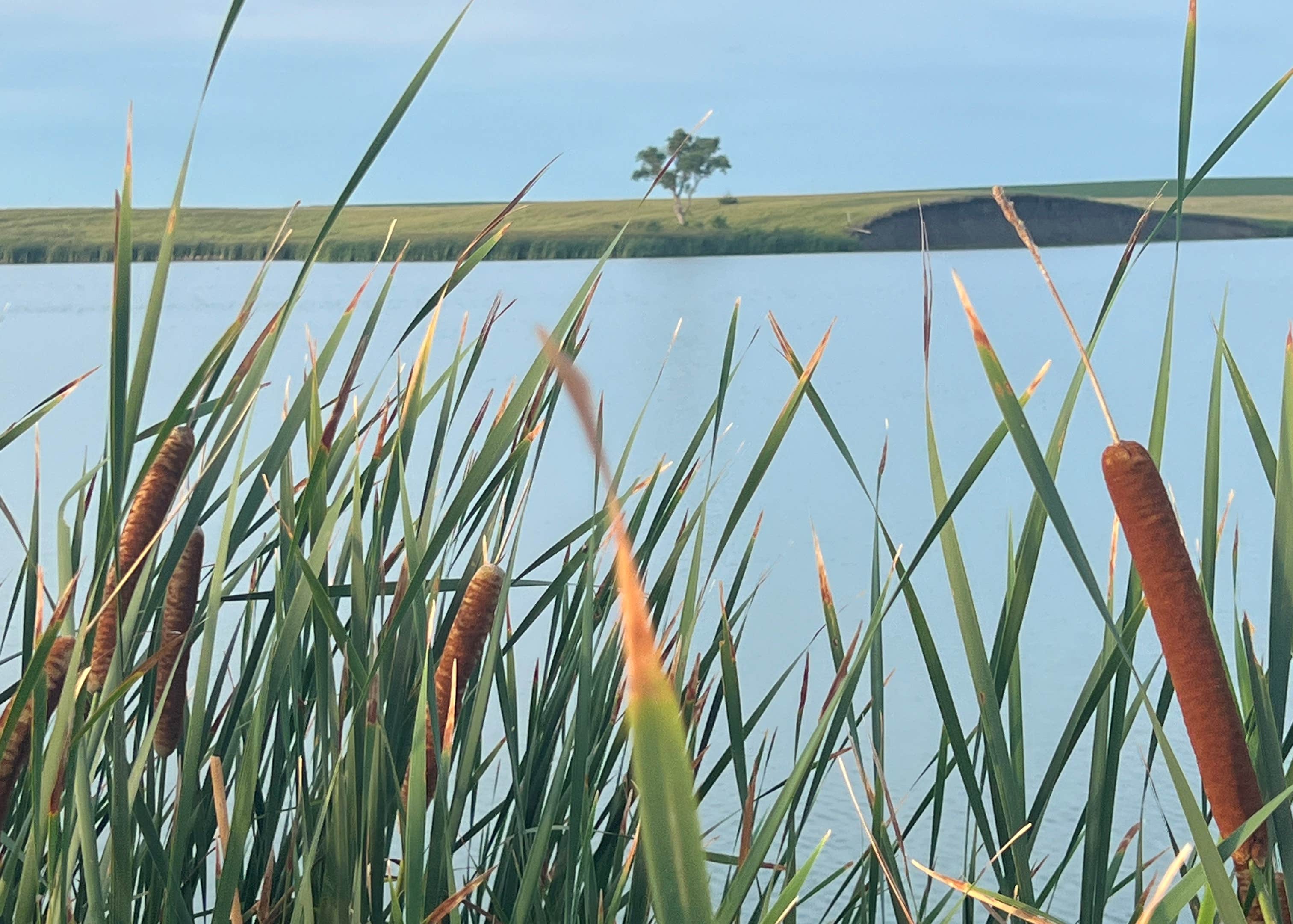 Byre Lake Recreation Area Camping | The Dyrt