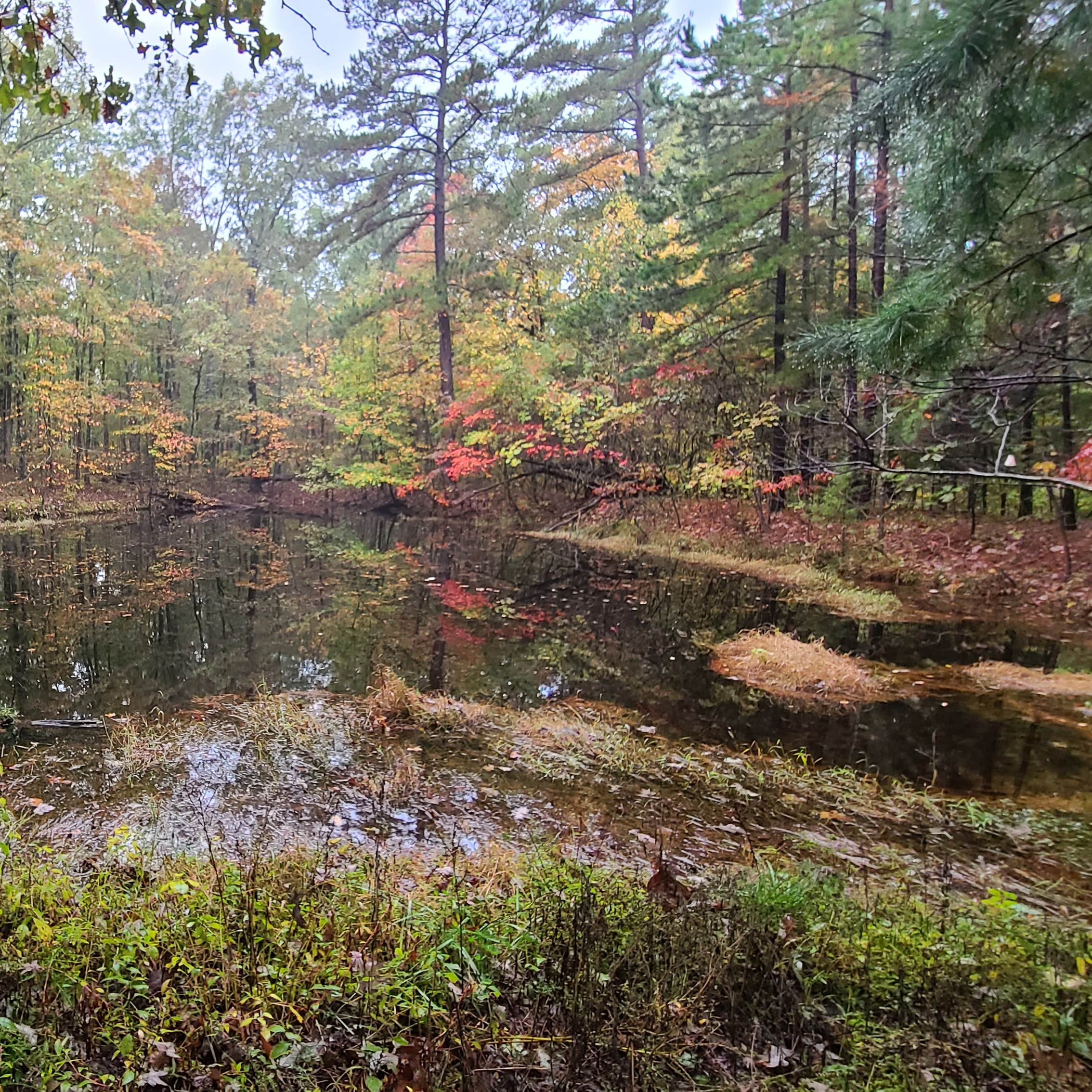 Berryman Trail & Campgrounds - Mark Twain National Forest | Davisville ...