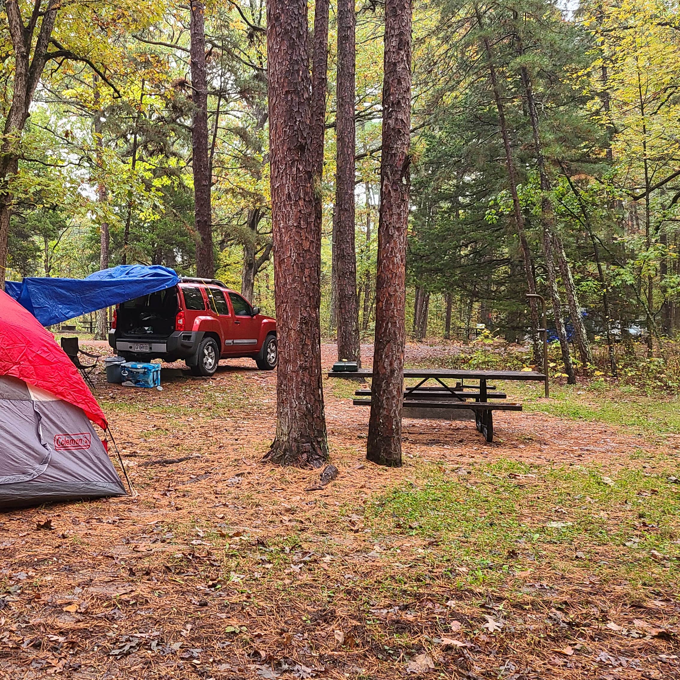 Berryman Trail & Campgrounds - Mark Twain National Forest | Davisville ...