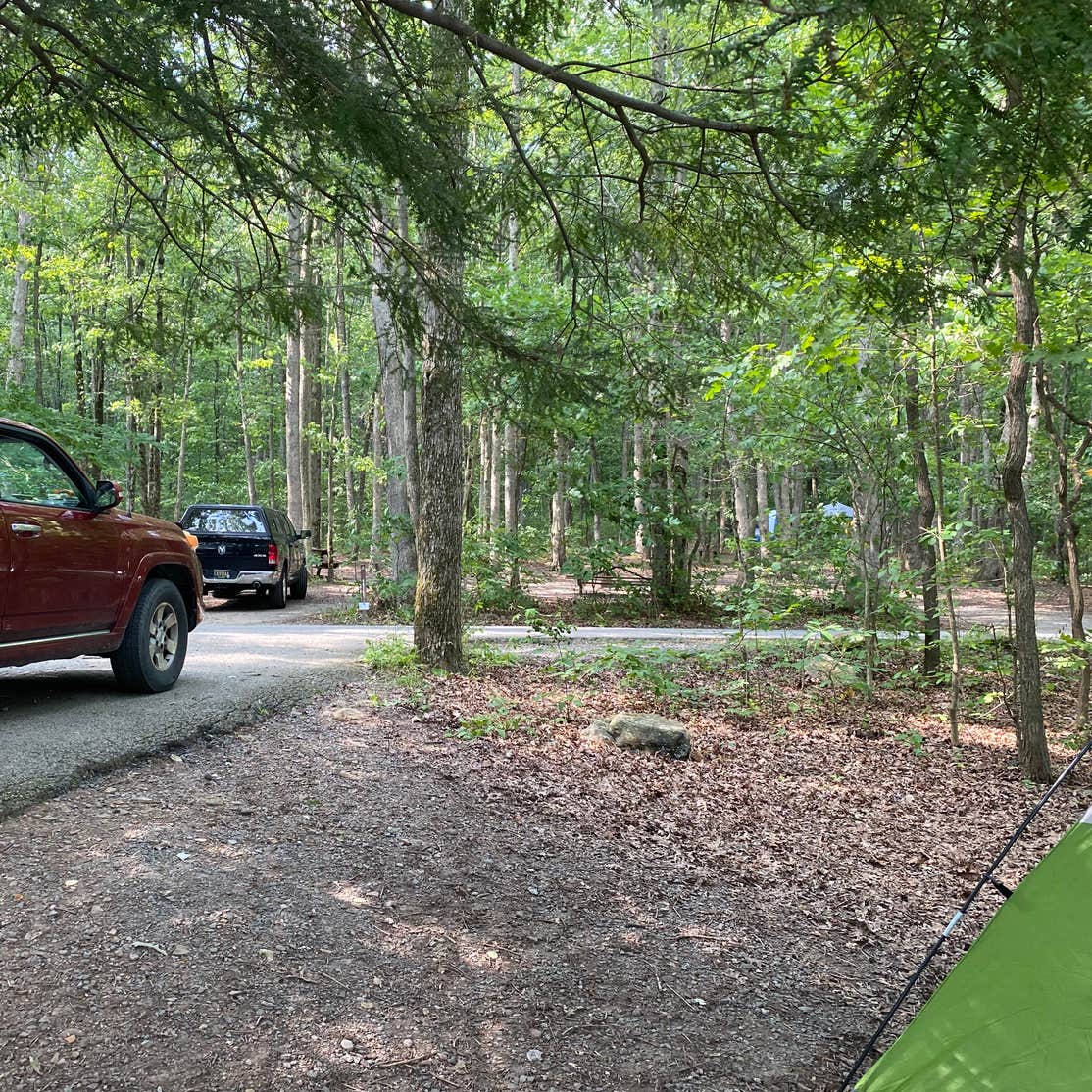 Locust Lake State Park Campground | Barnesville, PA