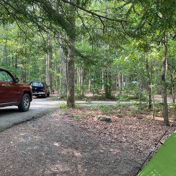 Locust Lake State Park Campground | Barnesville, PA