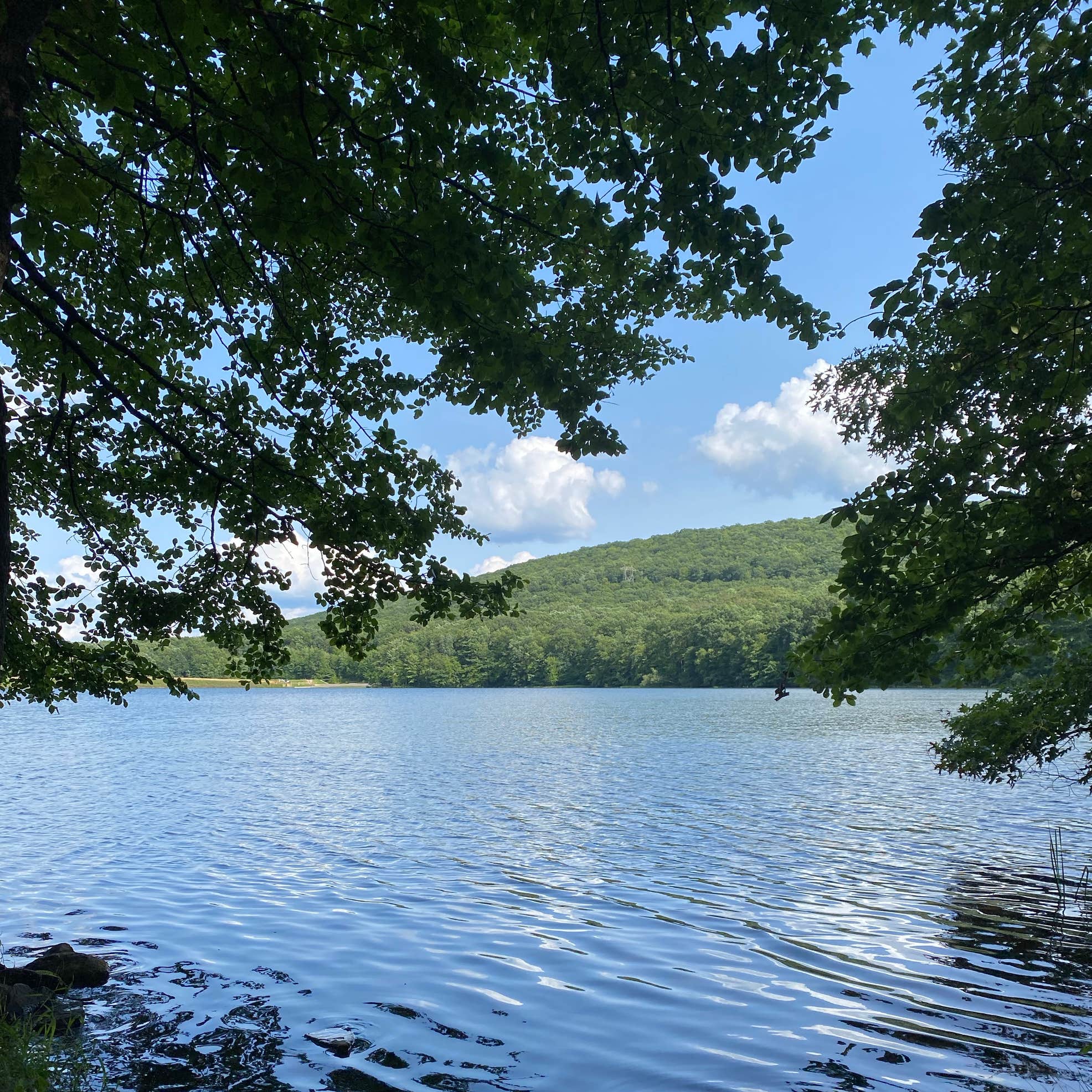 Locust Lake State Park Campground | Mahanoy City, Pennsylvania