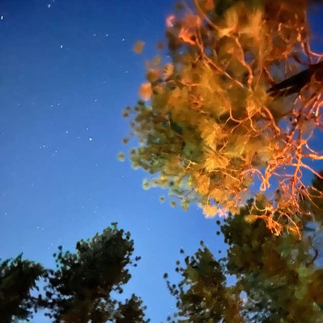 Jump Off Joe Lake Resort and RV Park | Loon Lake, Washington