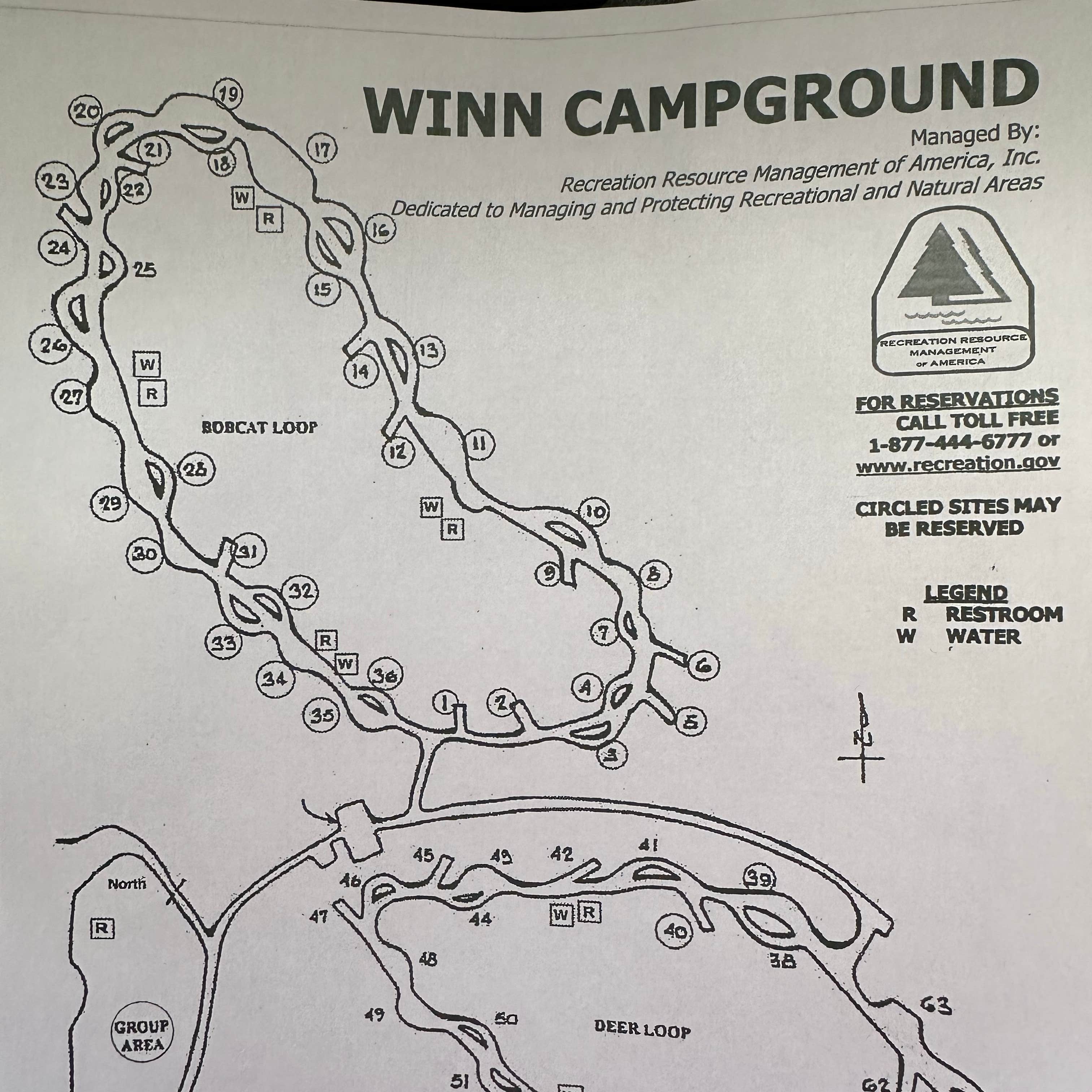 Apache National Forest Winn Campground Camping | The Dyrt