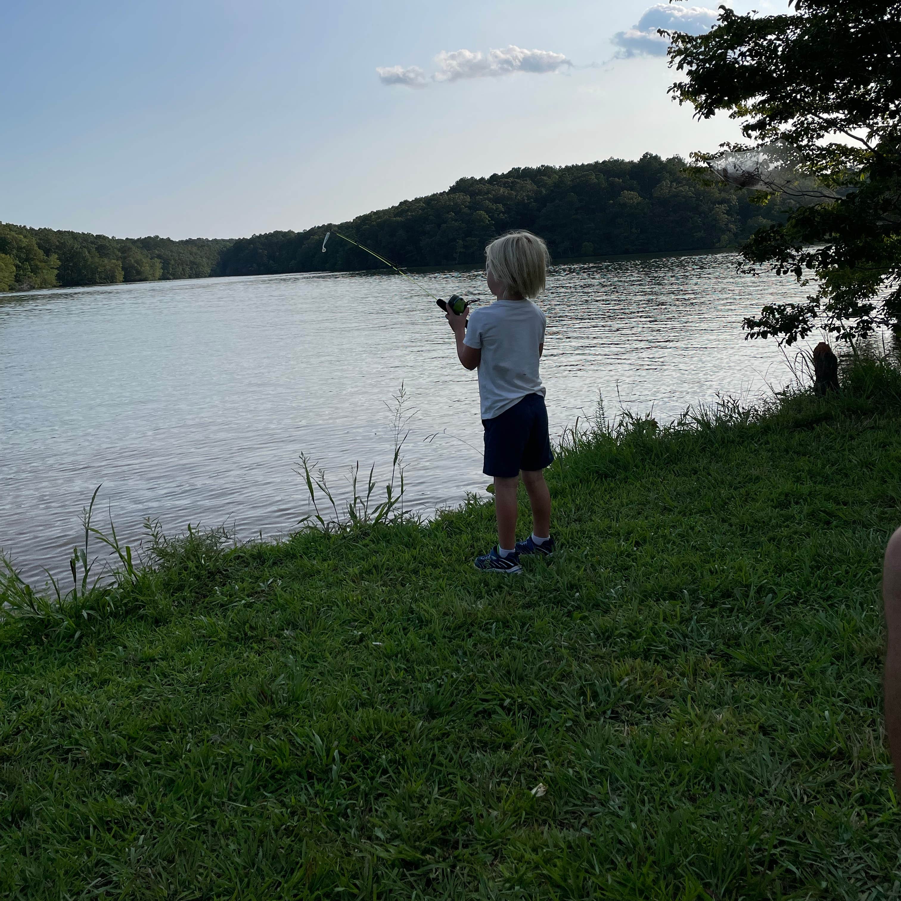 Pin Oak Campground — Natchez Trace State Park | Wildersville, Tennessee