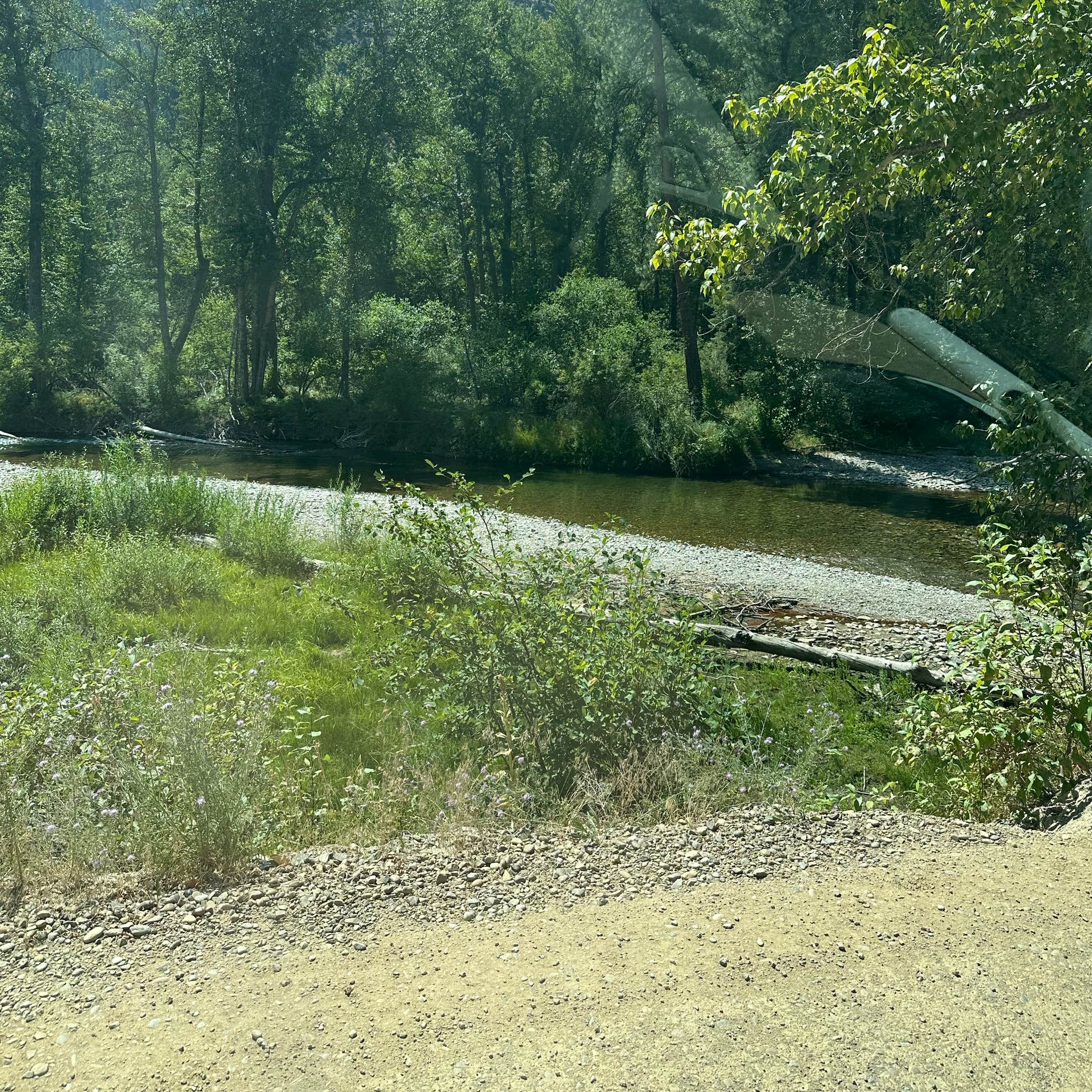 Muchwater Recreation Area Camping | The Dyrt