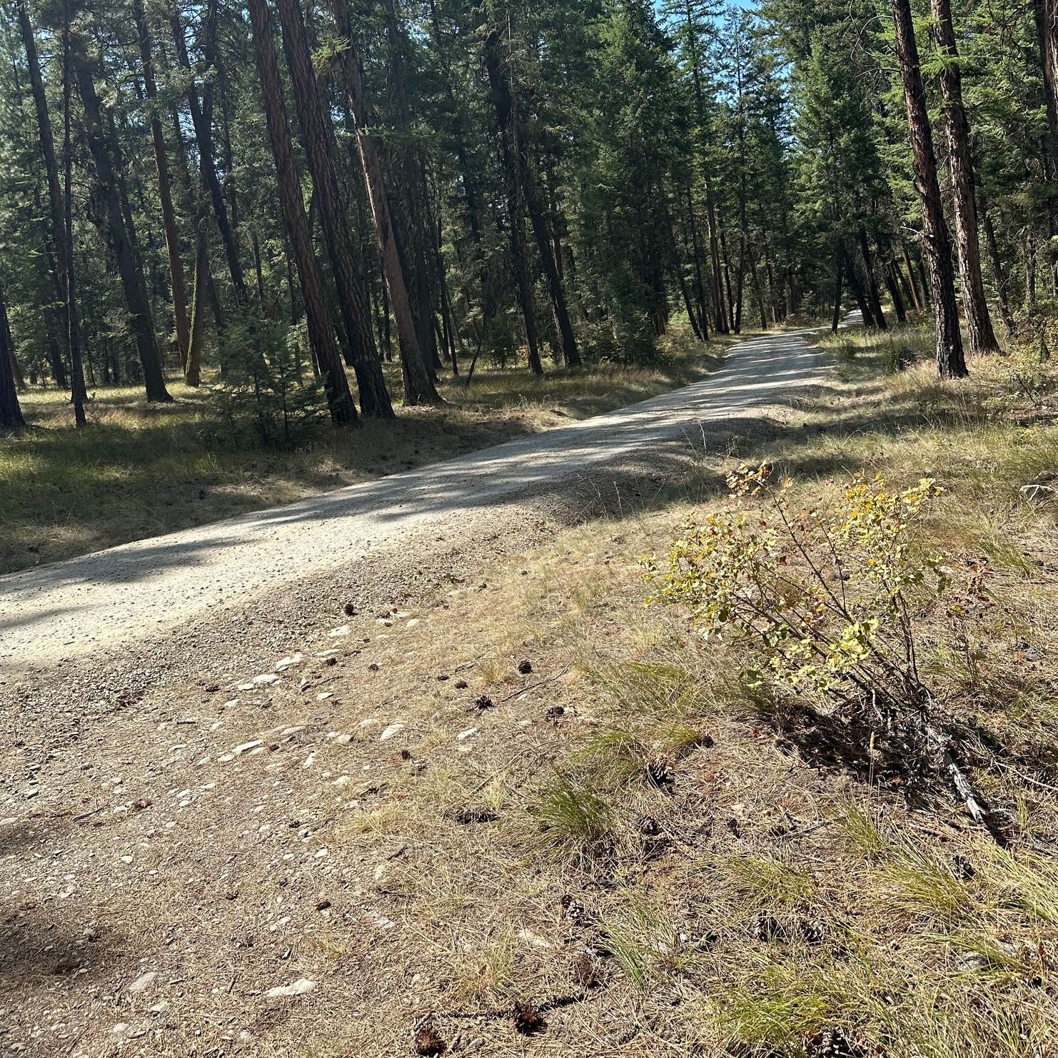 Muchwater Recreation Area Camping | The Dyrt