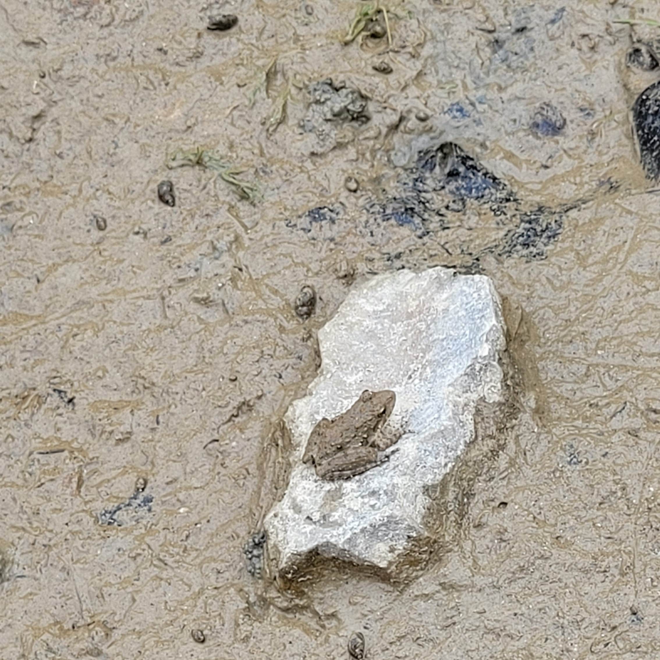 Modern North Campground — Lake Macbride State Park | Solon, Iowa