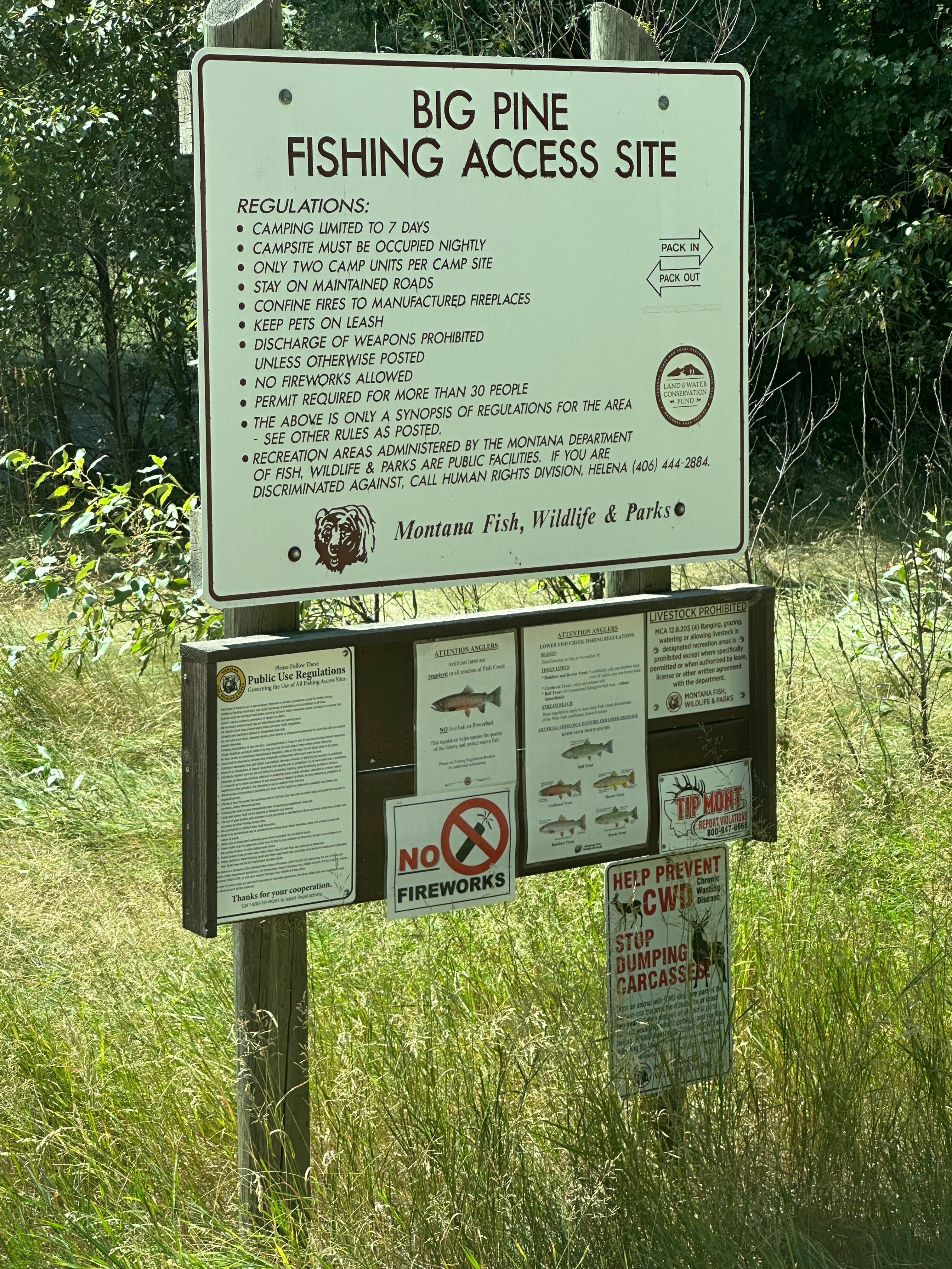 Big Pine Campground | Alberton, Montana