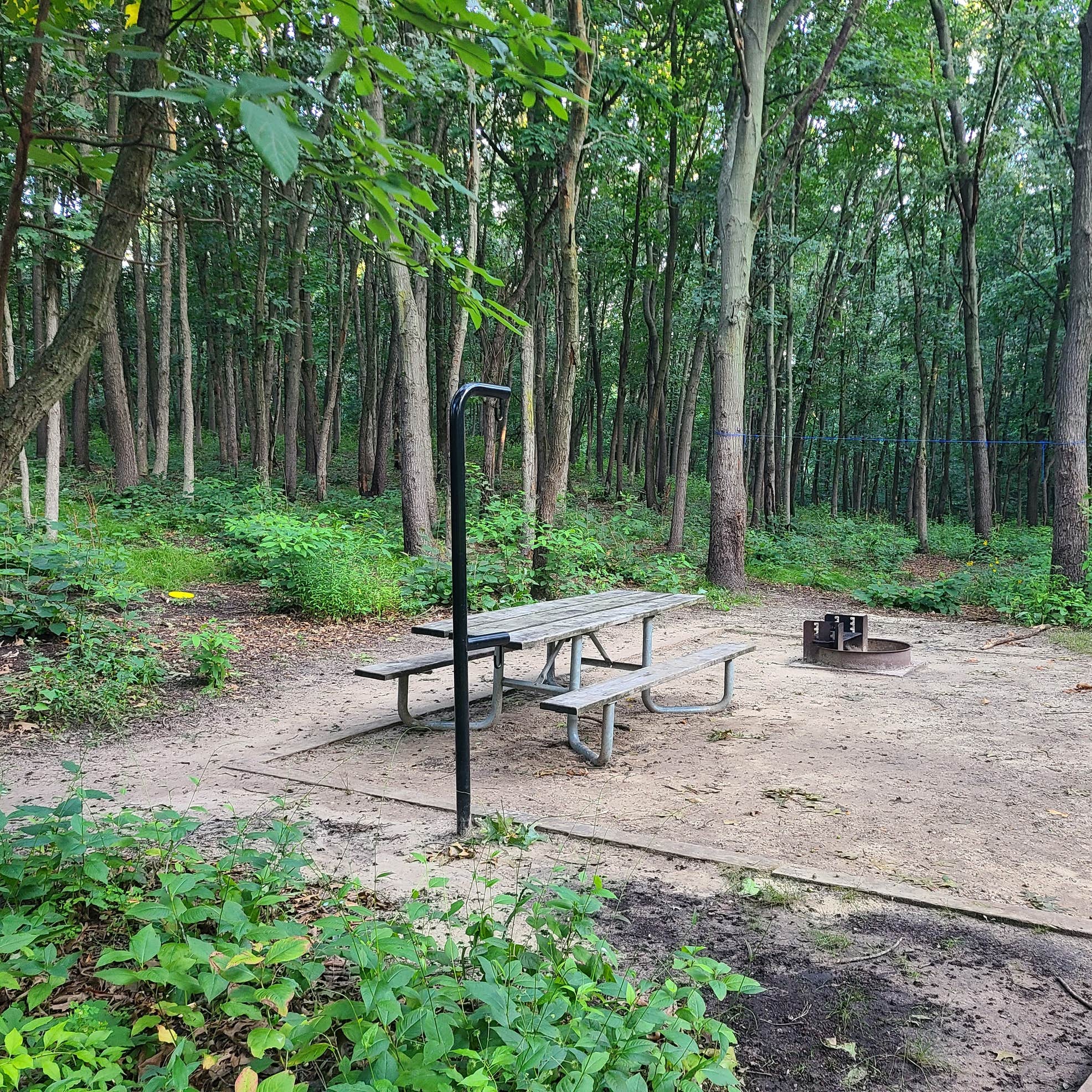 Dunewood Campground — Indiana Dunes National Park | Porter, IN