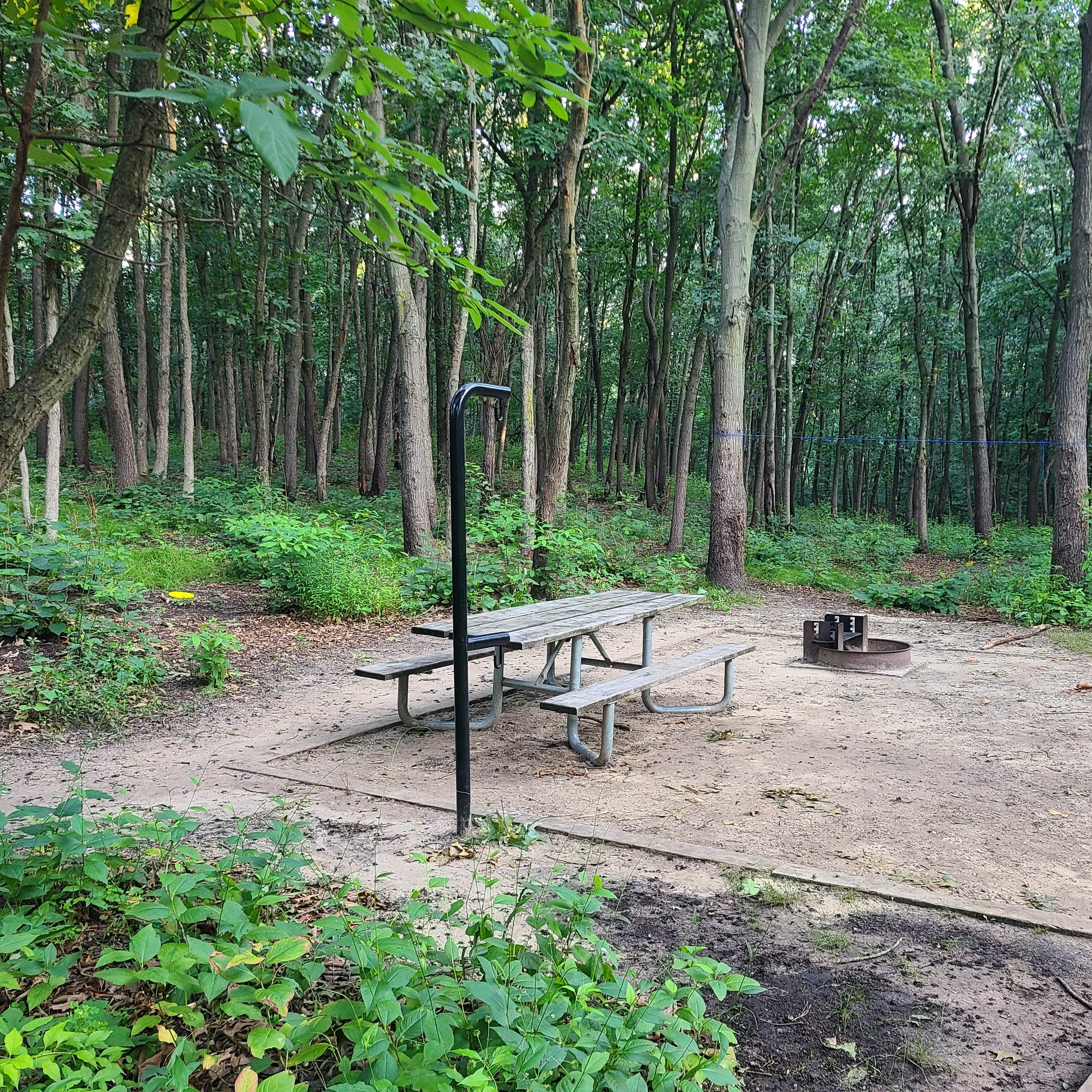 Dunewood Campground — Indiana Dunes National Park | beverly shores, IN