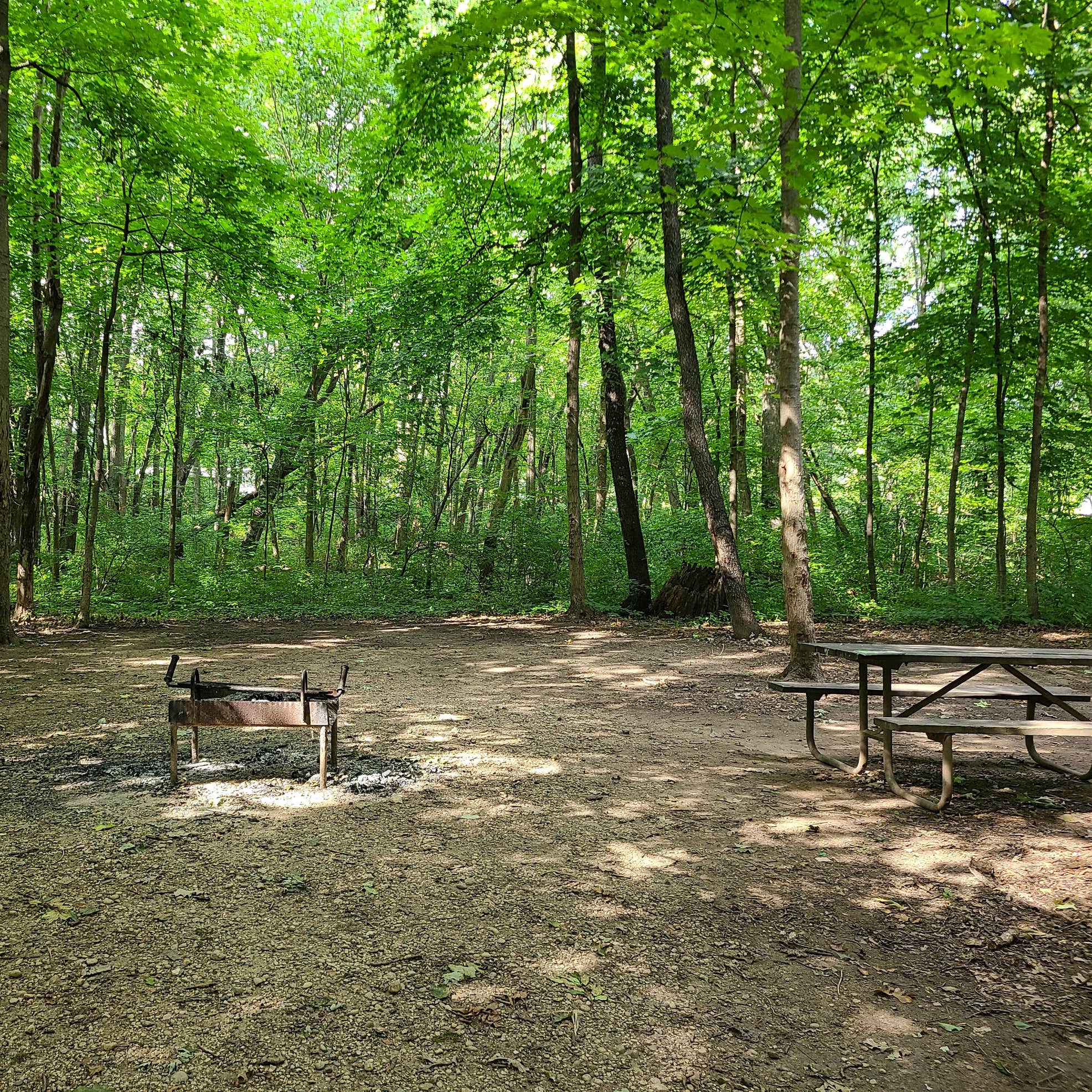 Great Falls Campground — Illini State Park | Marseilles, Illinois