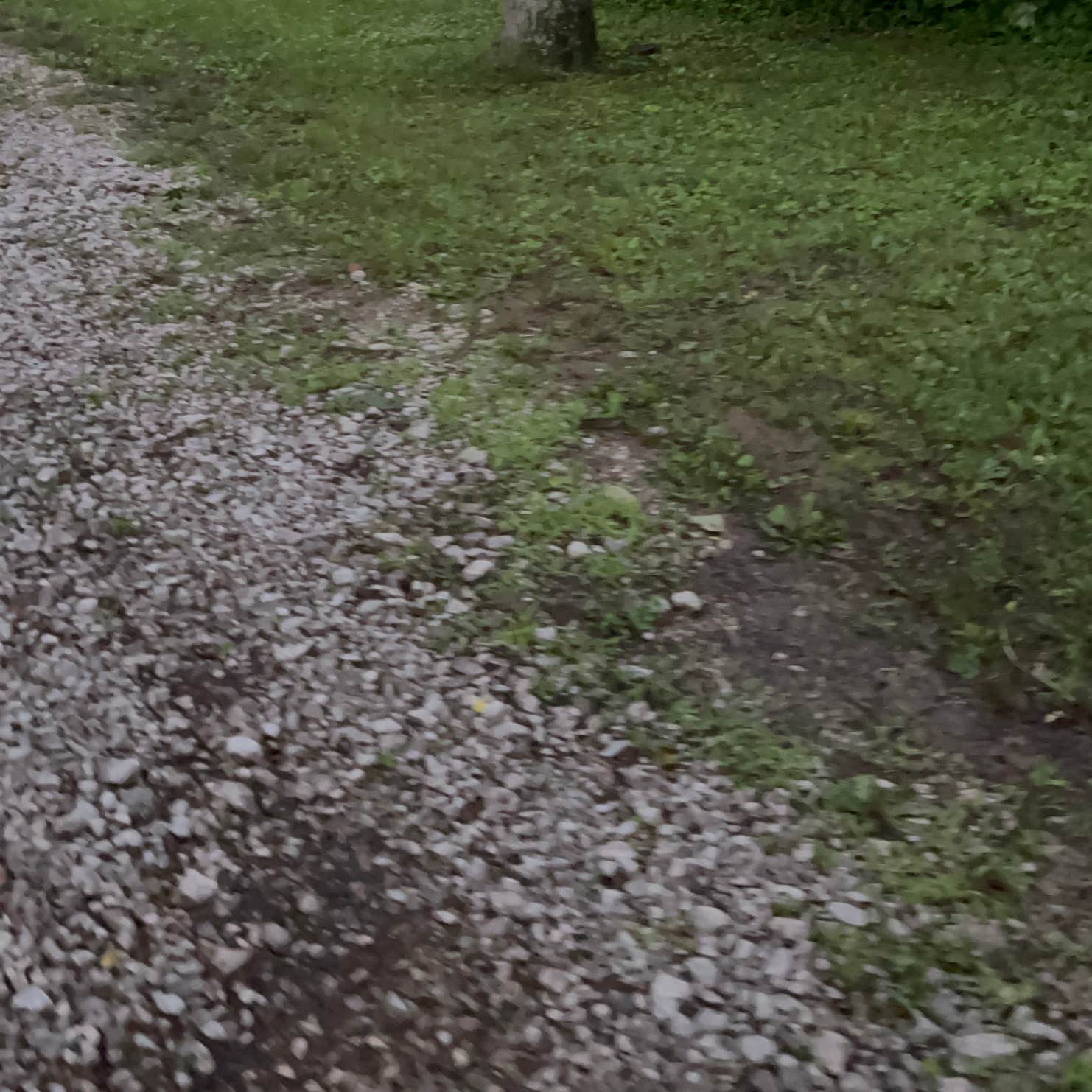 Three Springs Campground | Corinth, KY