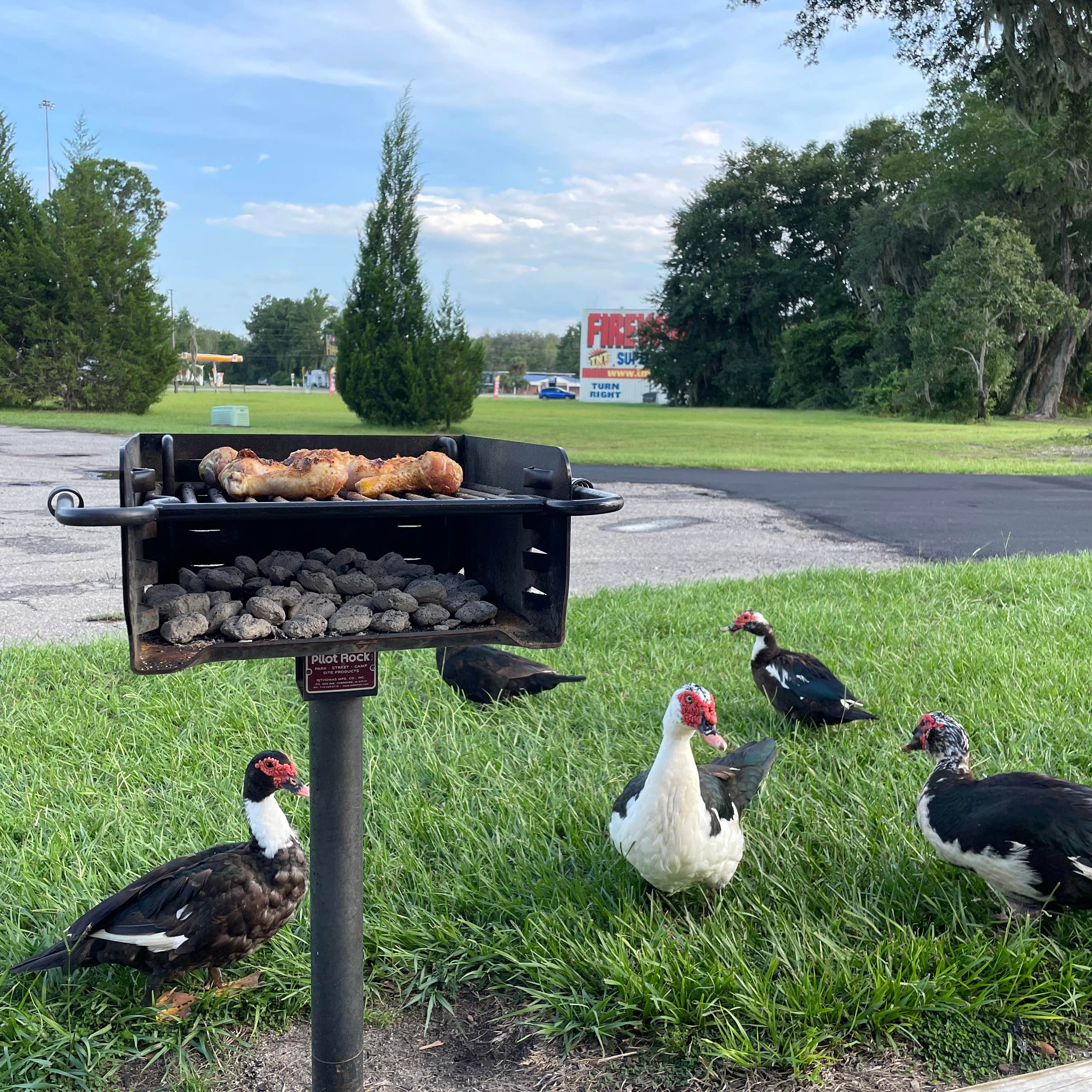 Jennings KOA Camping | Lake Park, Georgia