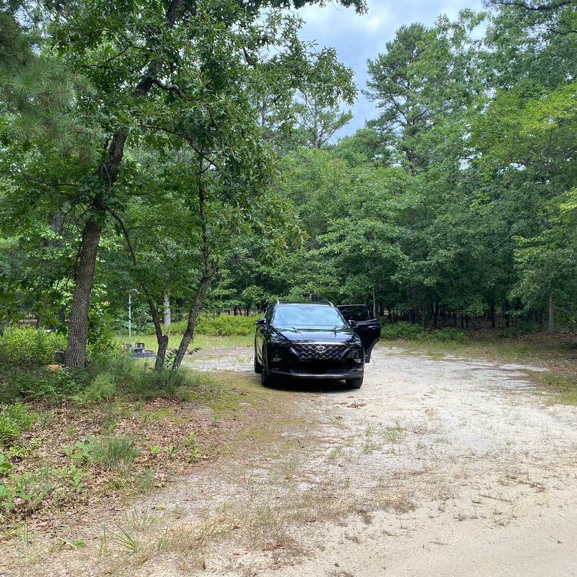 Brendan Byrne State Forest Camping | Woodland, NJ