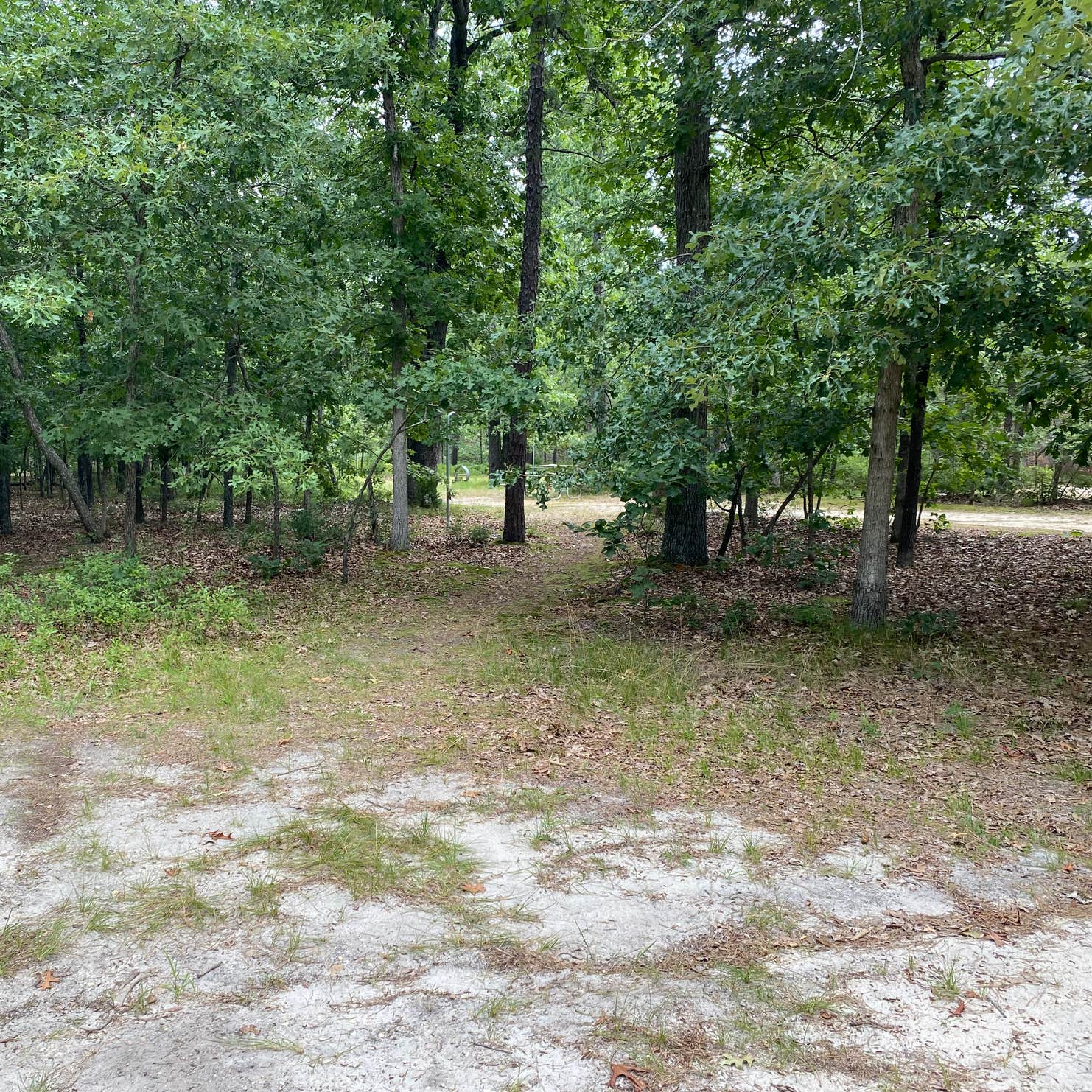 Brendan Byrne State Forest Camping | Woodland, NJ