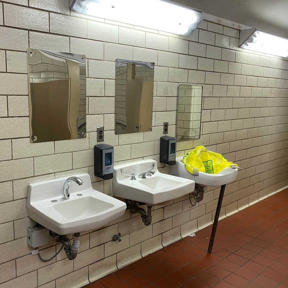 Brendan Byrne State Forest Camping | Woodland, NJ