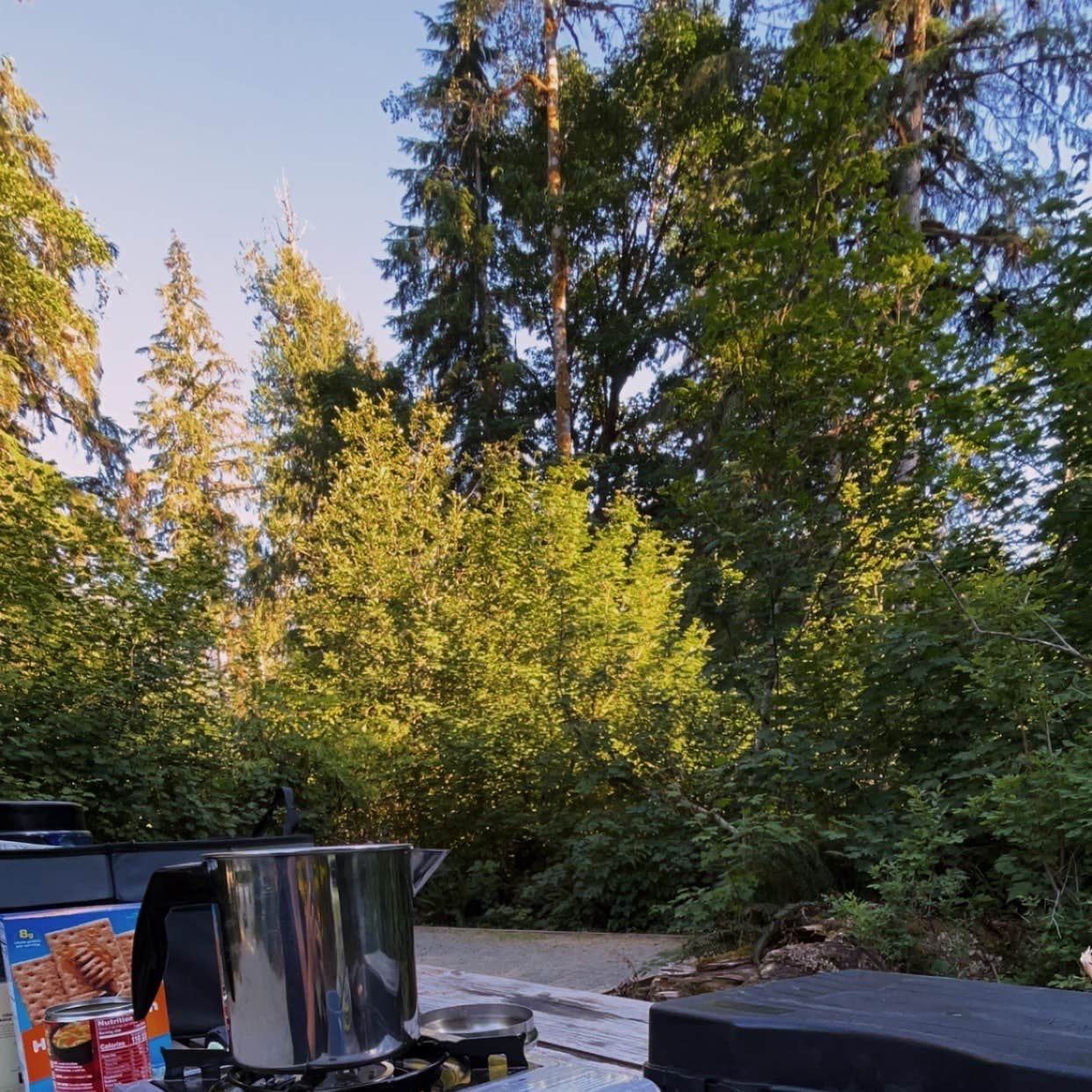Bayview Campground (mt. Baker-snoqualmie National Forest, Wa ...