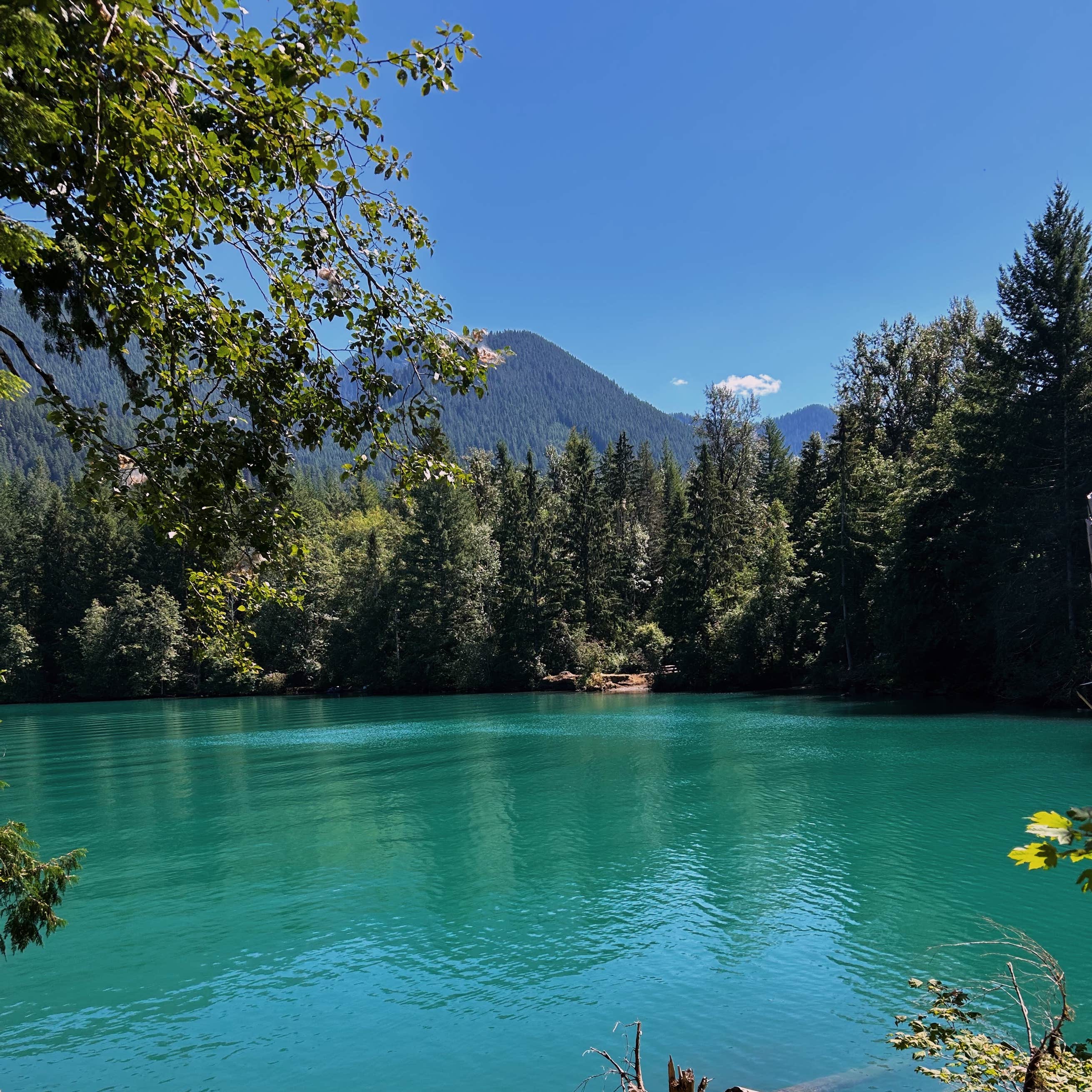 Bayview Campground (mt. Baker-snoqualmie National Forest, Wa ...
