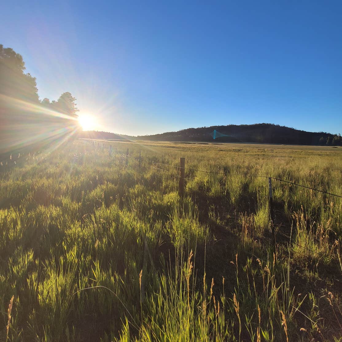 Coleman Lake Camp | Williams, Arizona