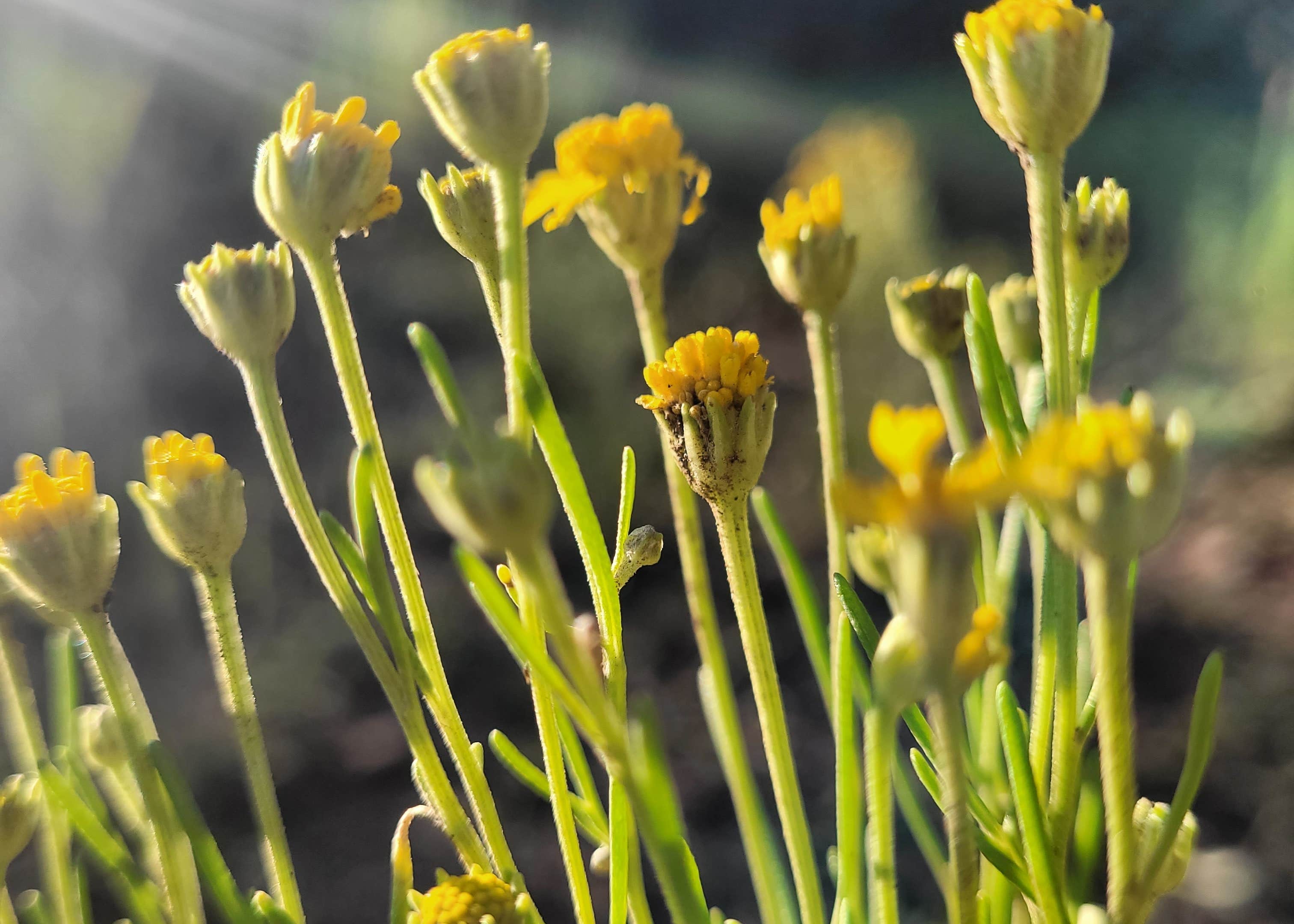 Coleman Lake Camp Camping | The Dyrt