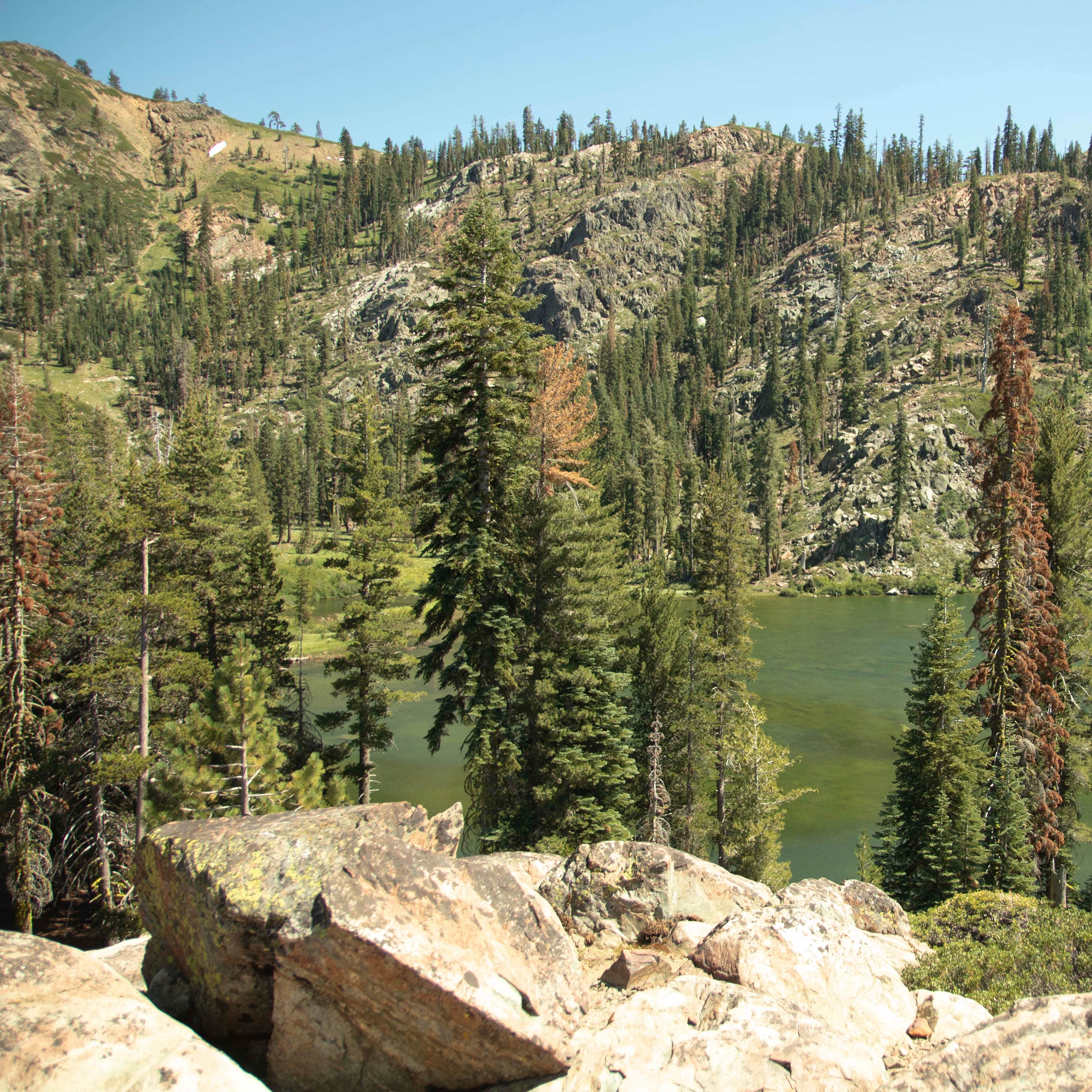 Gold Lake 4x4 Campground | Graeagle, California