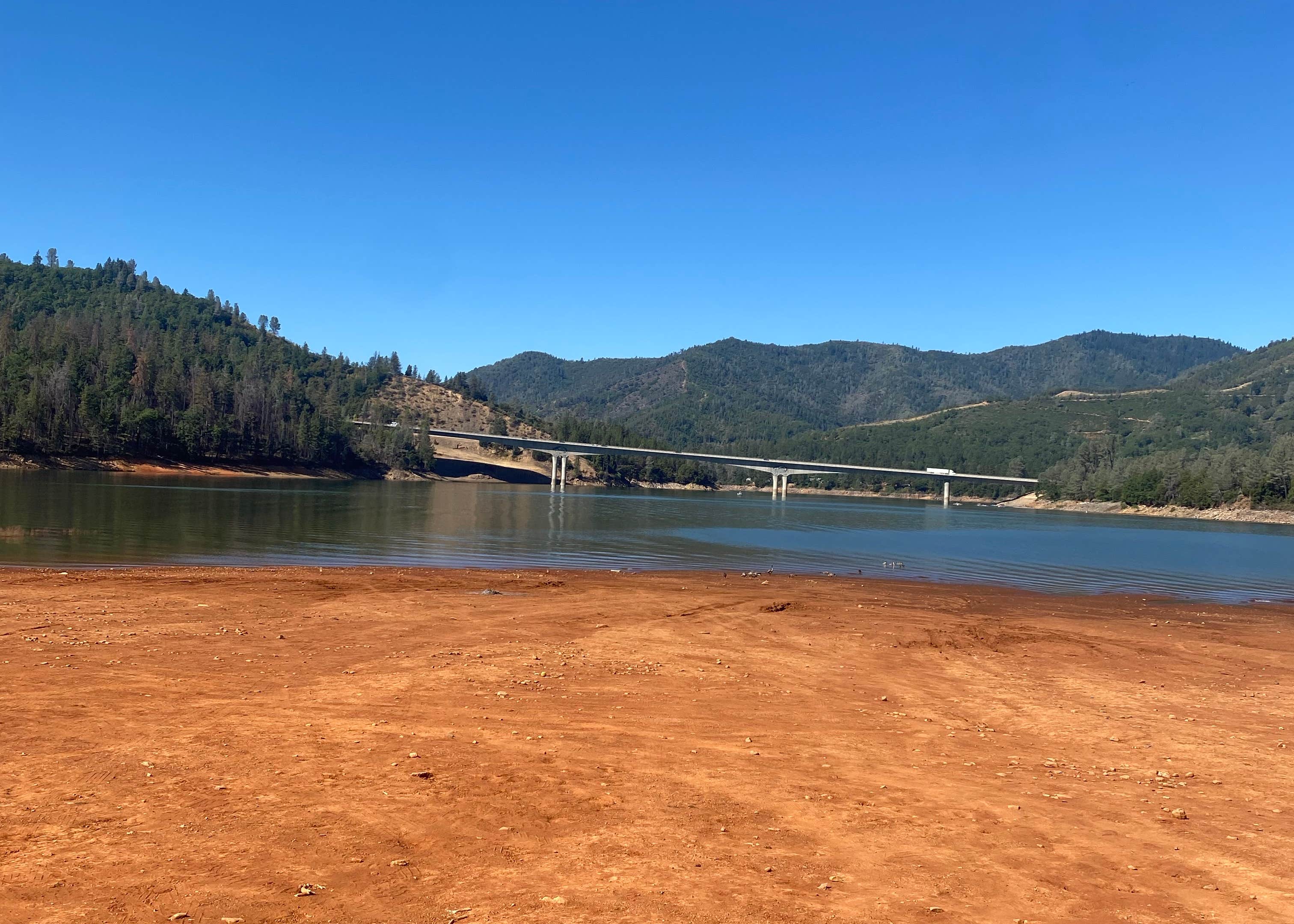 Gregory Beach Shoreline Campground Camping | The Dyrt