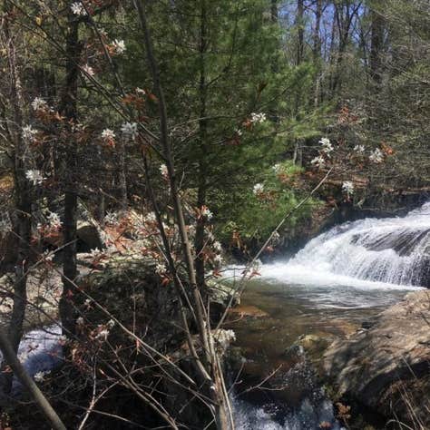 Oronoco Campground Camping | The Dyrt