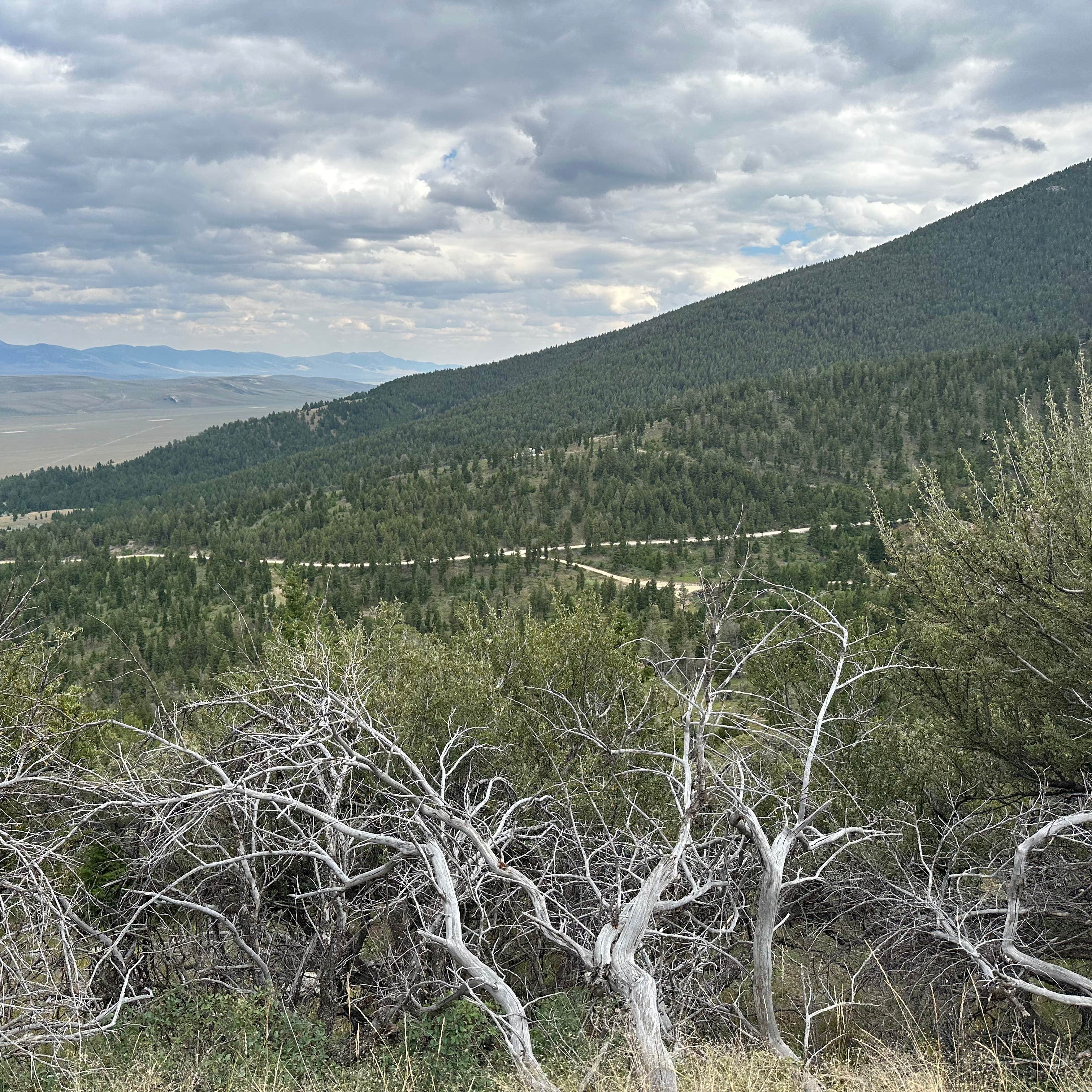 Meadow Lake Campground | Leadore, Idaho
