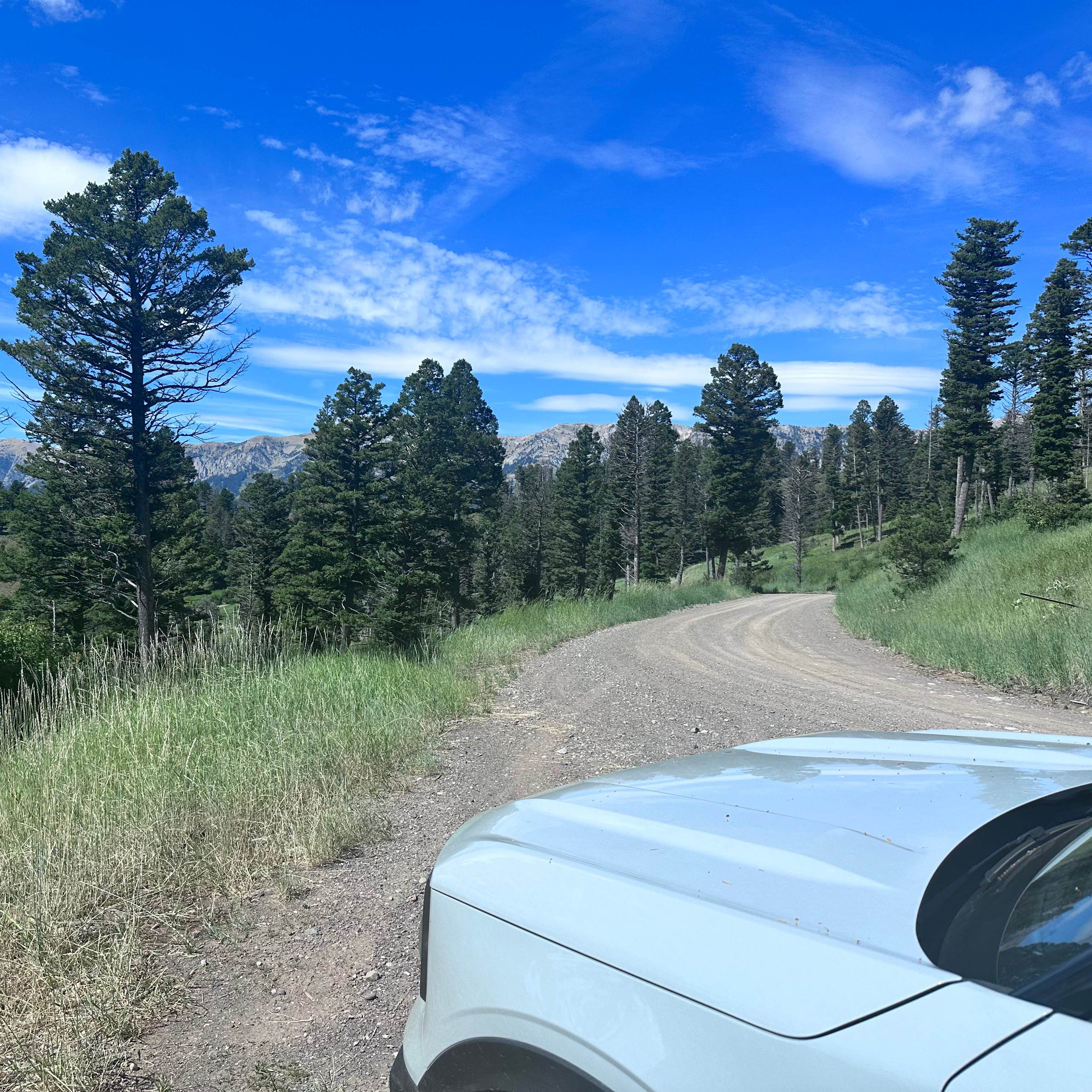 Olson Creek Dispersed Camping | Bozeman, MT