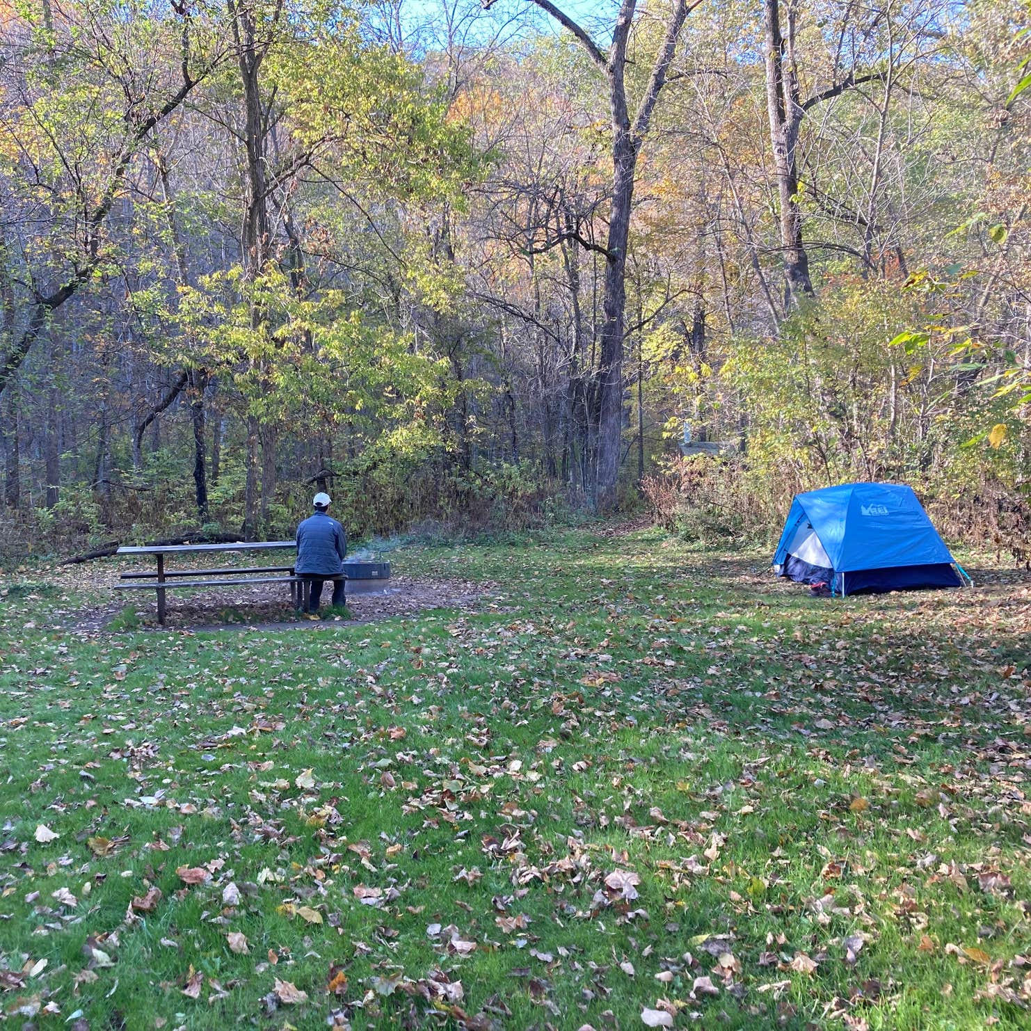 Gooseberry Glen Cart-in Campground — Whitewater State Park | Elba, MN