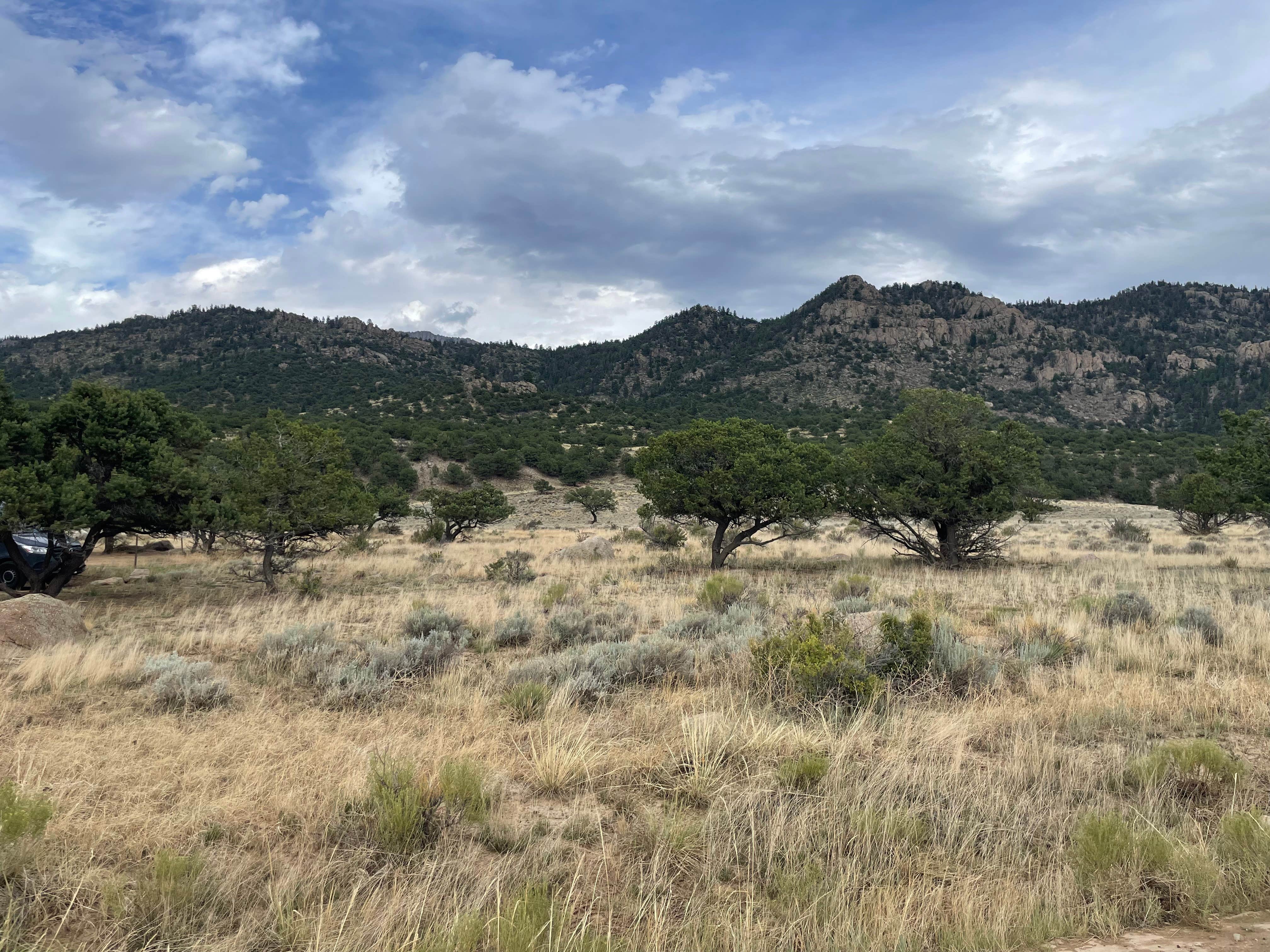 Americus Dispersed Camping | Buena Vista, Colorado