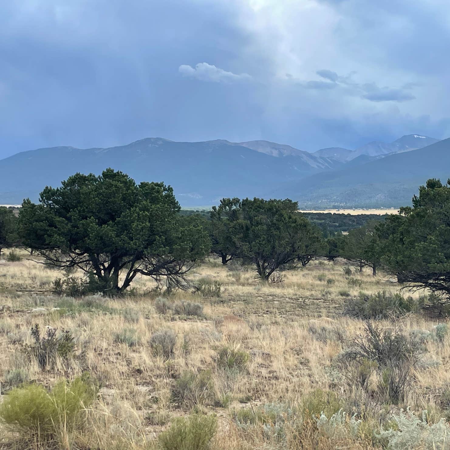 Americus Dispersed Camping | Buena Vista, Colorado