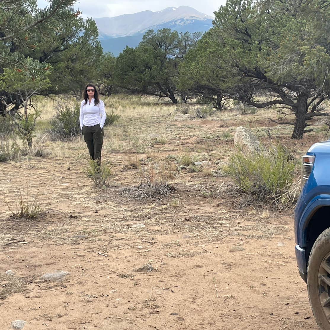 Americus Dispersed Camping | Buena Vista, Colorado