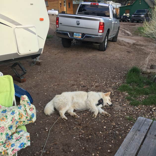 Panguitch Lake Camping | Brian Head, Utah