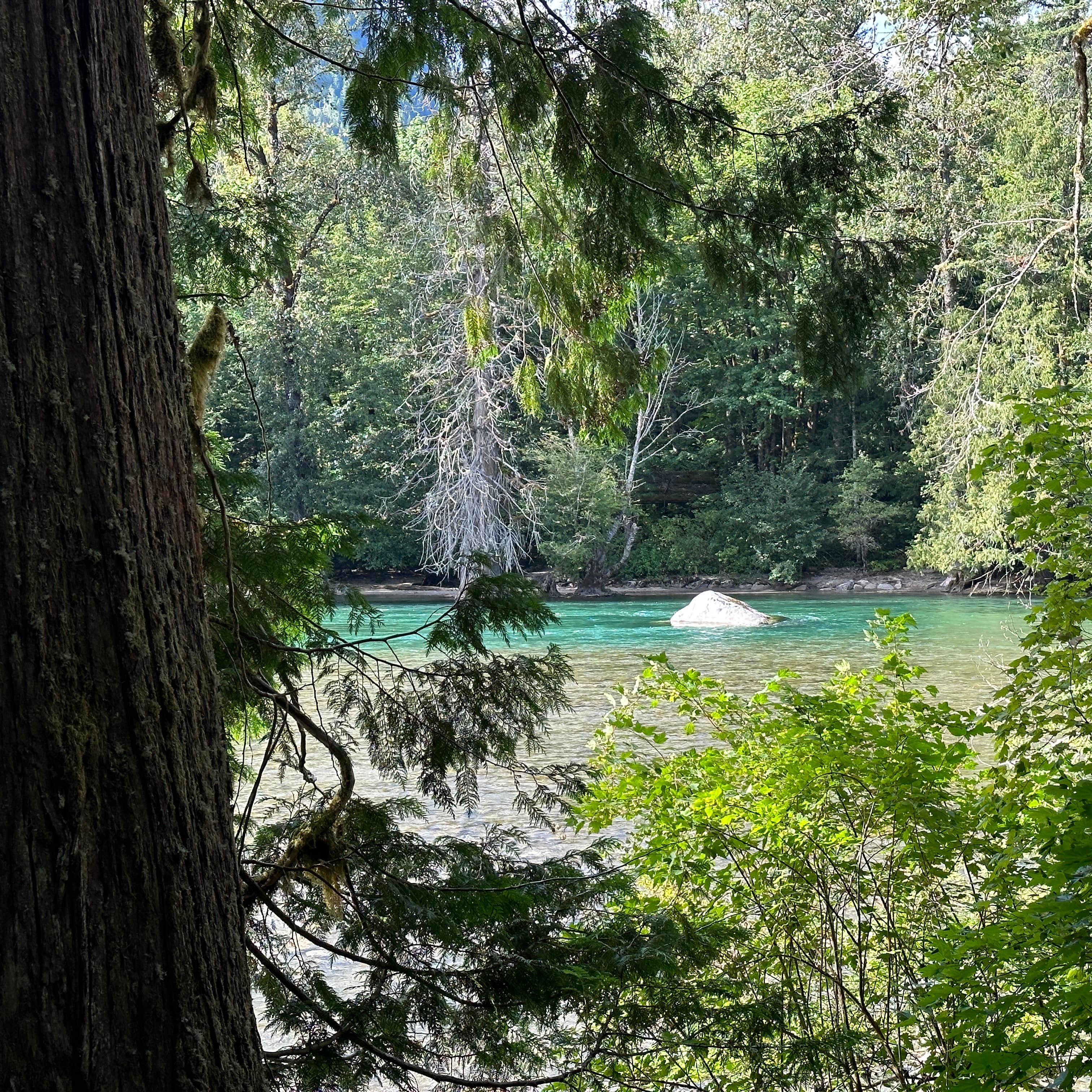 Newhalem Creek Campground — Ross Lake National Recreation Area ...