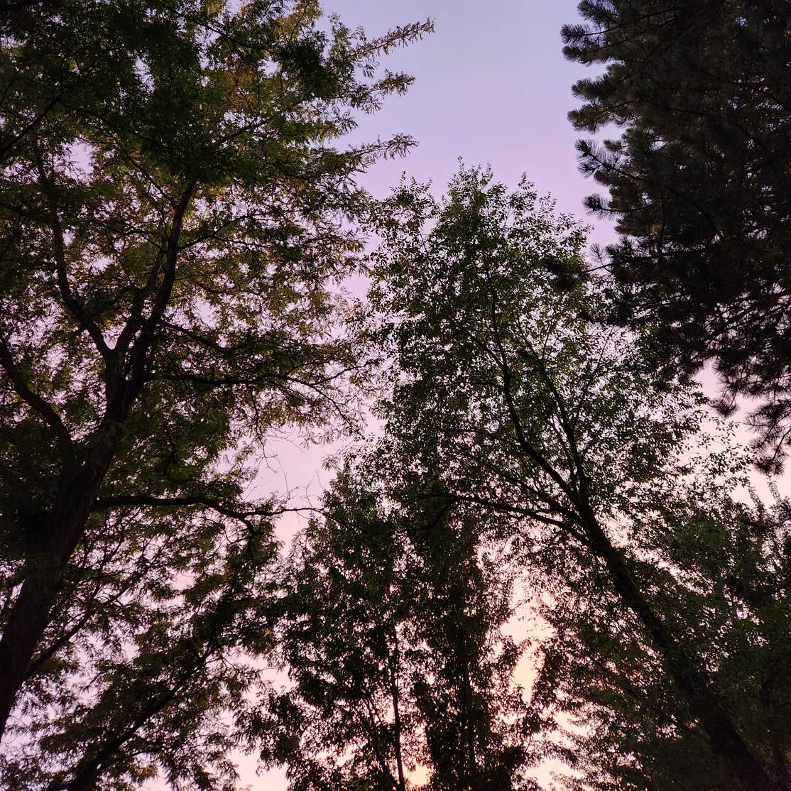 Boyer Park & Marina KOA Camping | Pullman, Washington