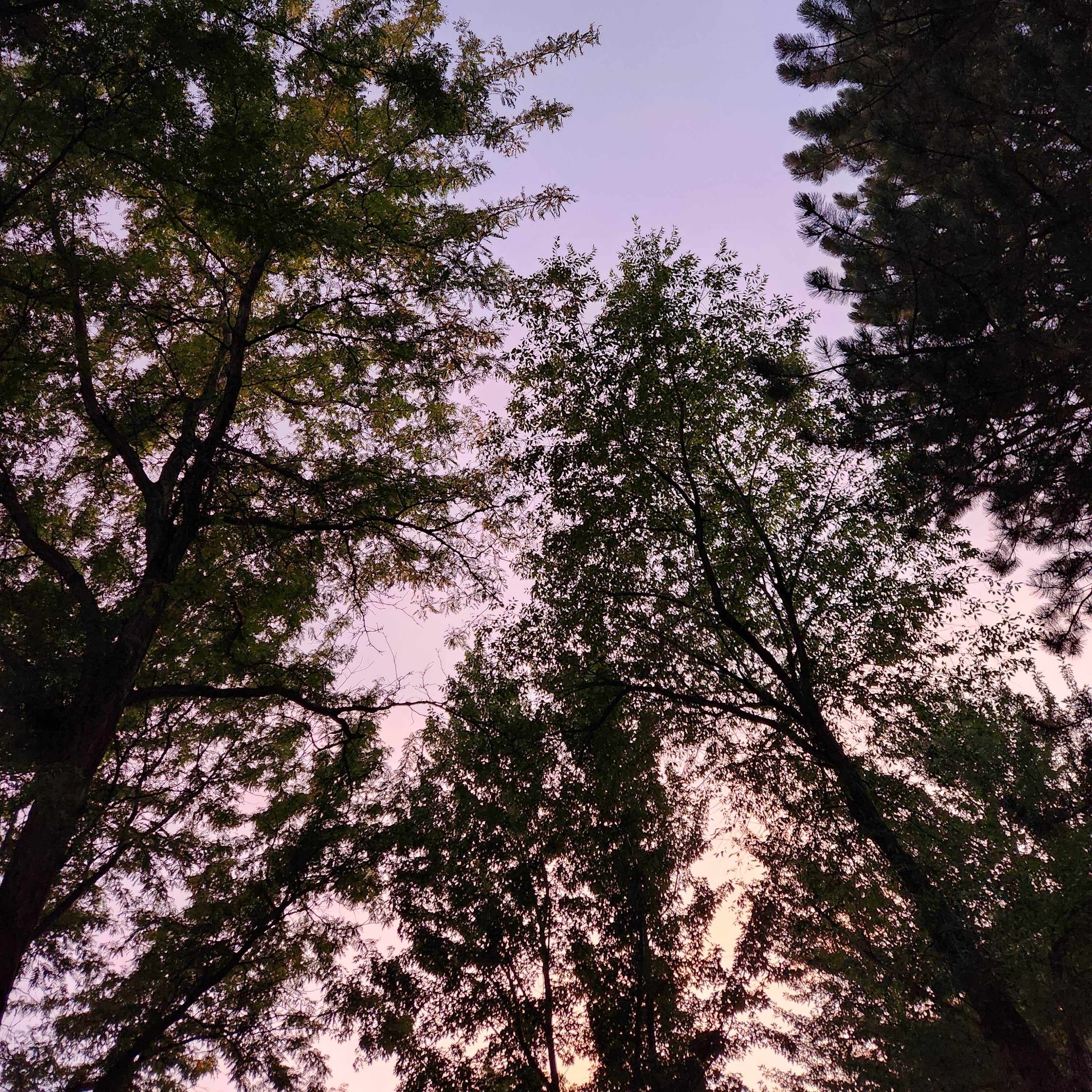 Boyer Park & Marina KOA Camping | Pullman, Washington
