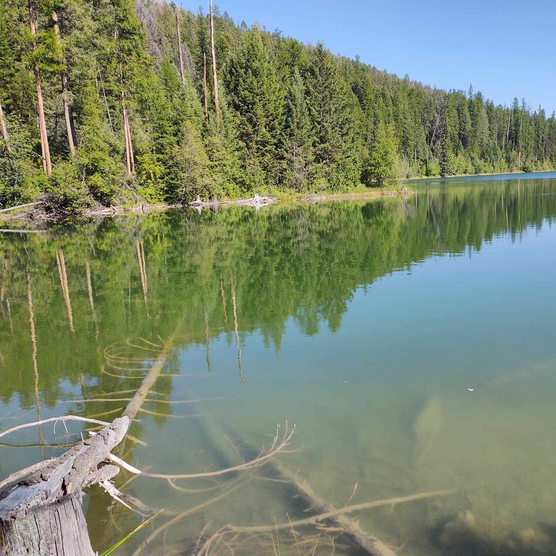 Martin Lake Camping | Fortine, Montana