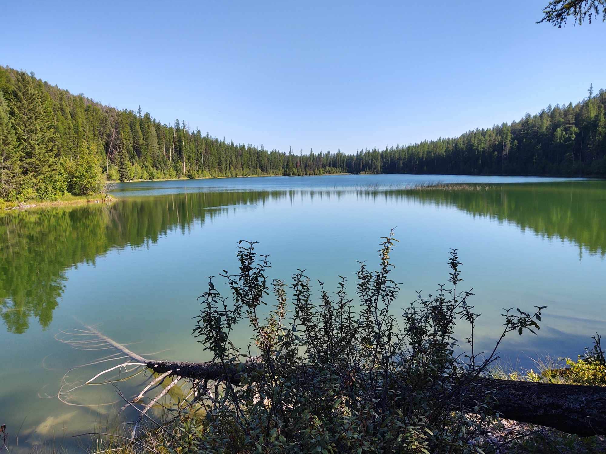 Martin Lake Camping | Fortine, MT