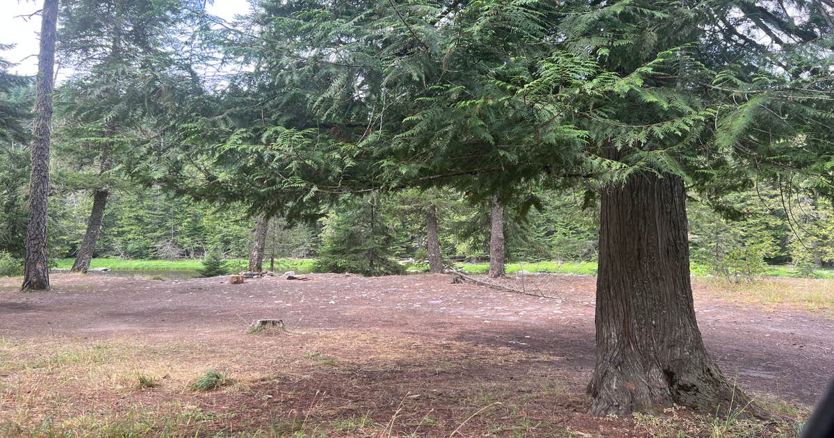 Colgate Camp | Nez Perce-Clearwater National Forests, Idaho