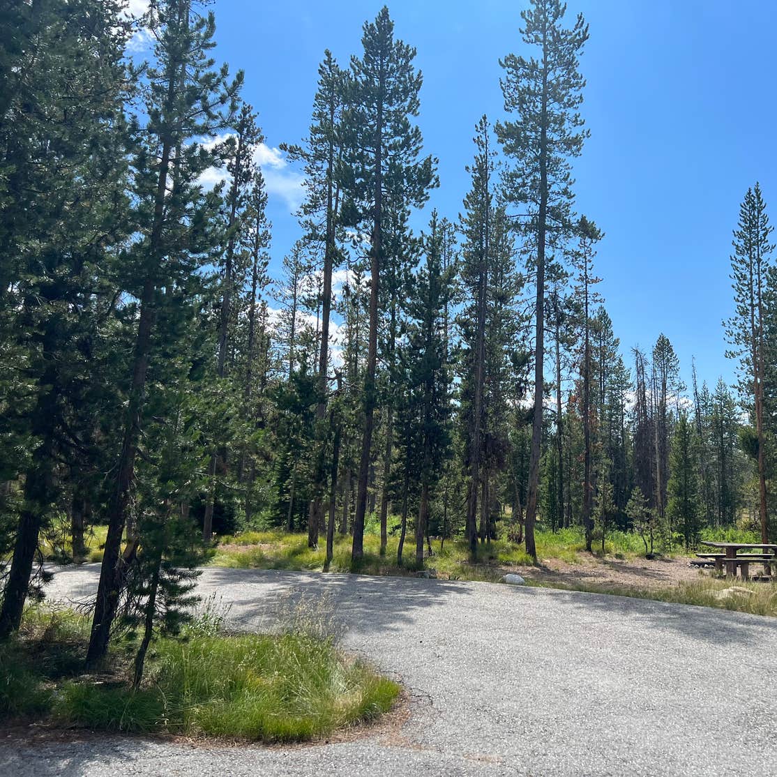 Bench Creek Campground | Lowman, ID