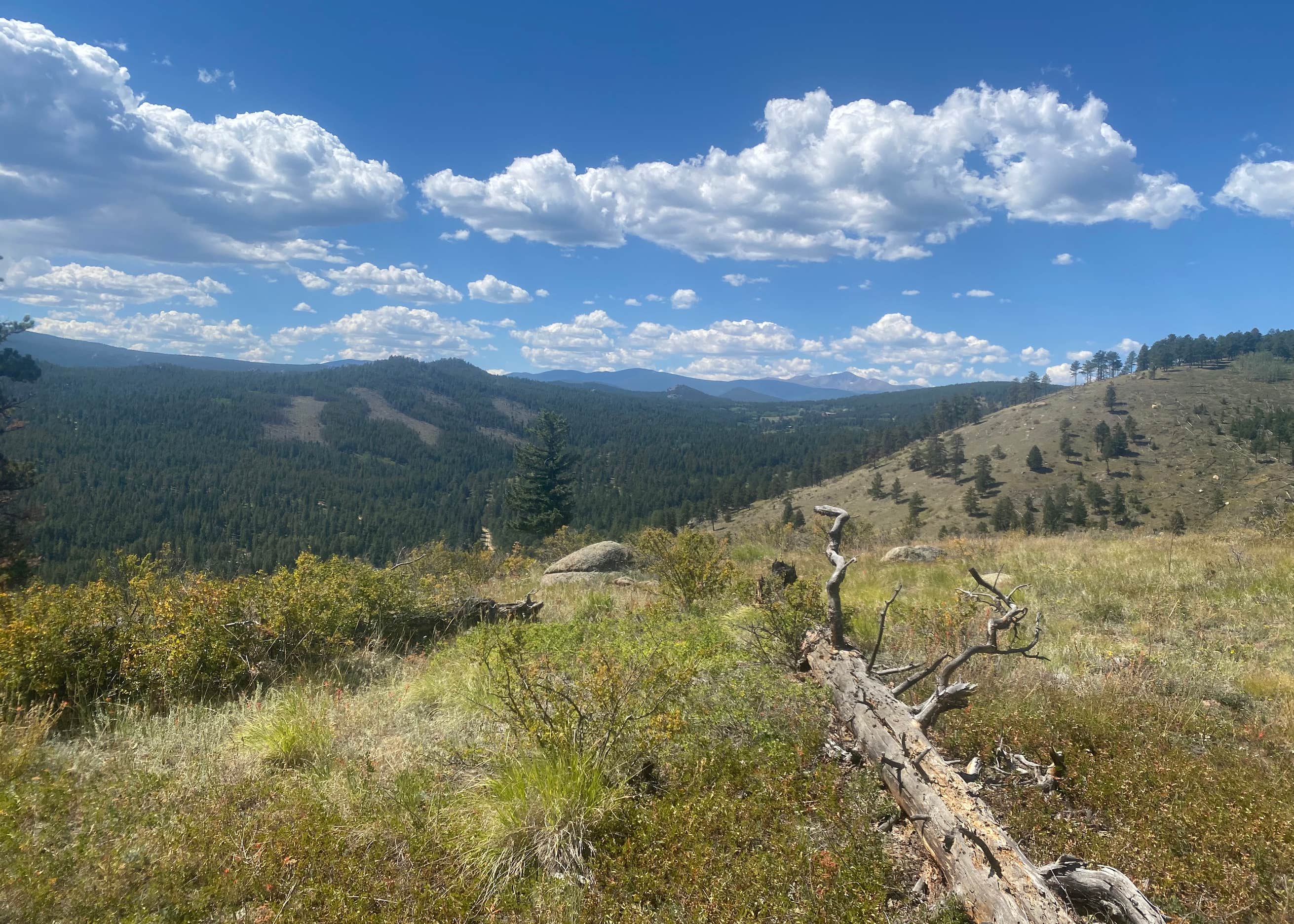Gross Reservoir Dispersed Camping | The Dyrt