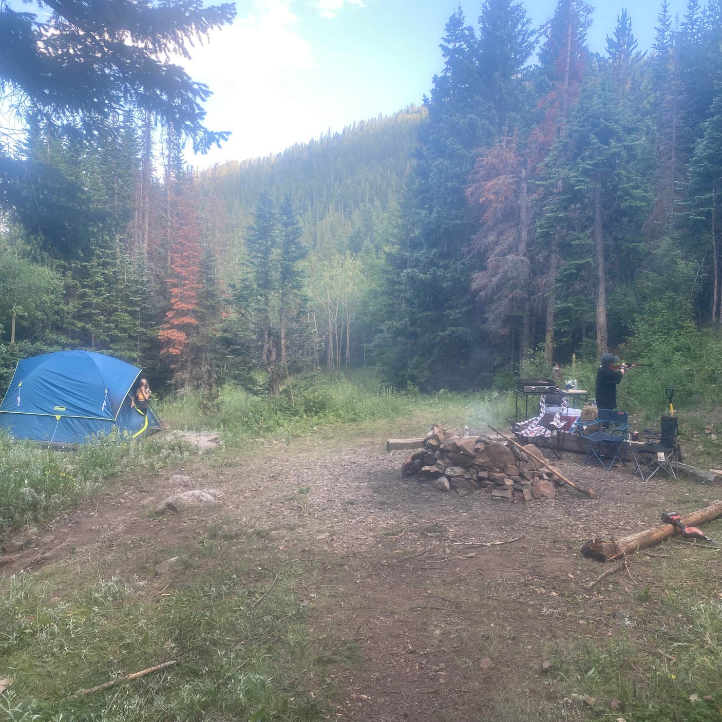Ruby Gulch, Forest Road 328 Camping | Ward, Colorado