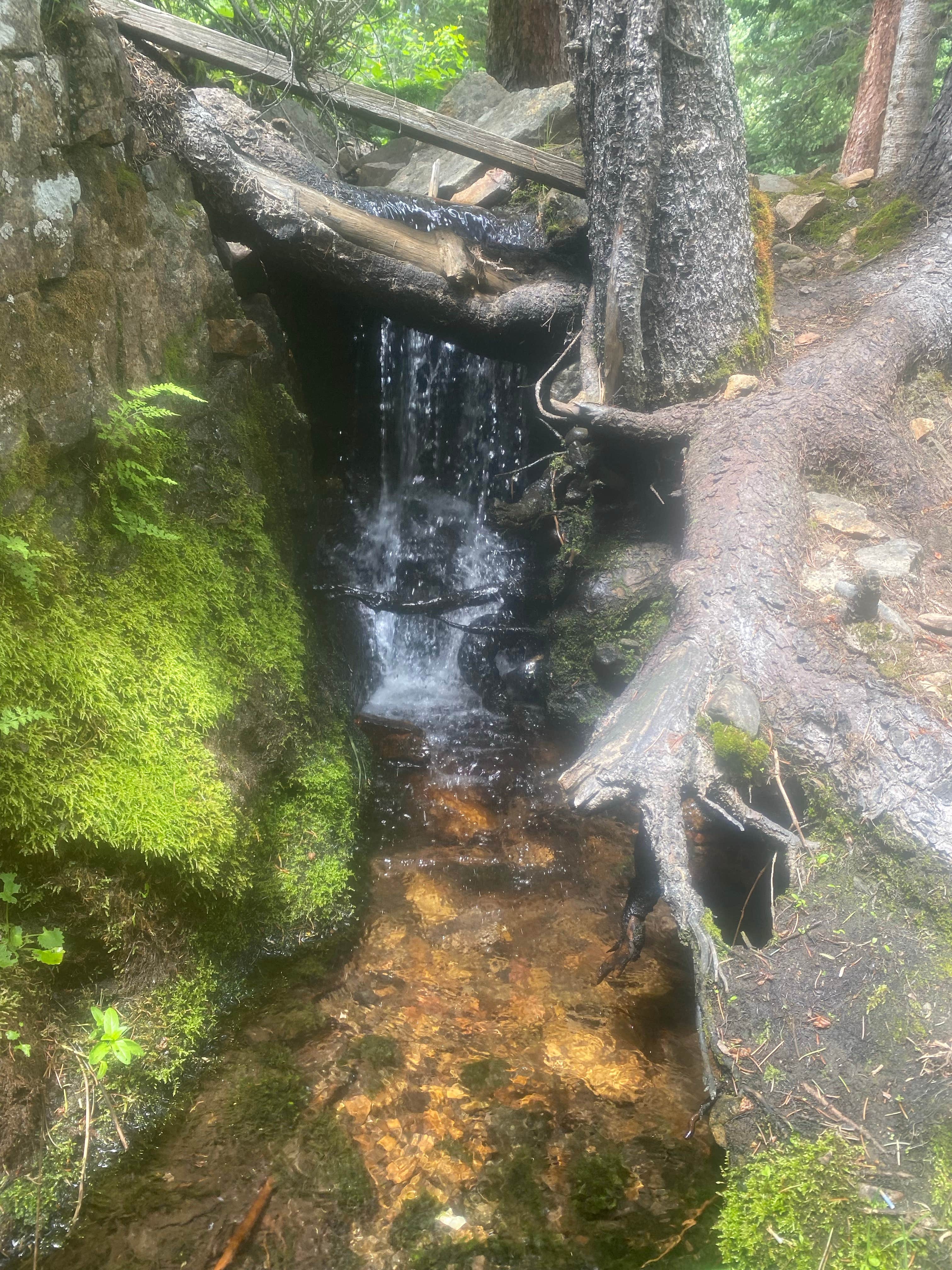 Ruby Gulch, Forest Road 328 Camping | Boulder, CO