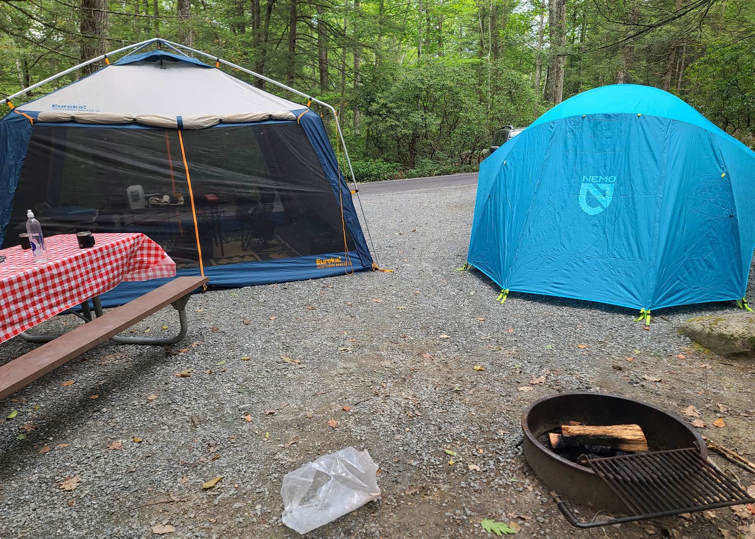 Erving State Forest Camping | Erving, MA | The Dyrt