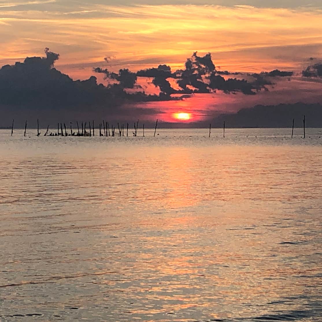 Kiptopeke State Park Campground | Townsend, Virginia