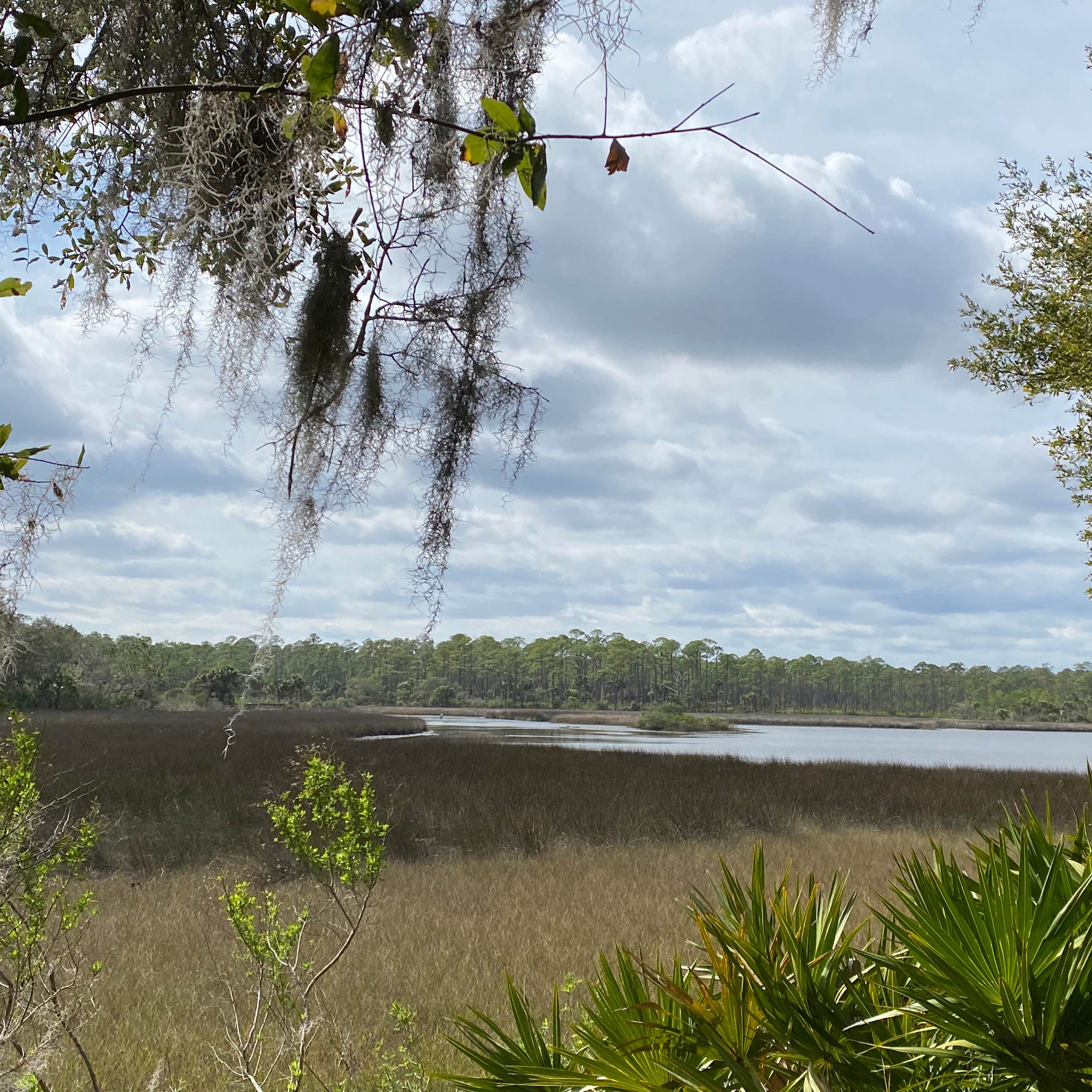 Princess Place Preserve - Cottages Camping | The Dyrt