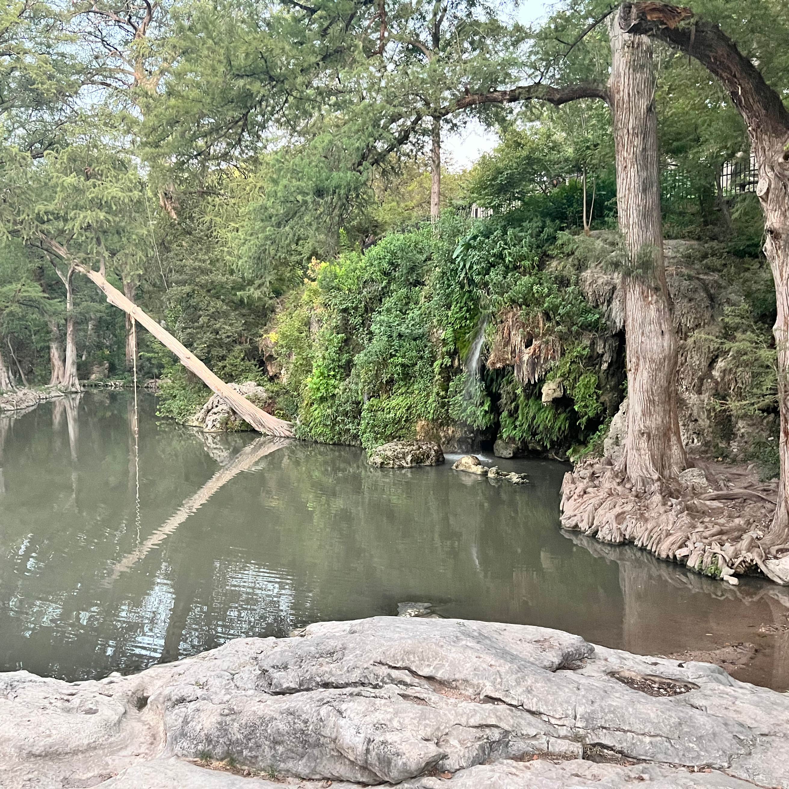Krause Springs Camping | Spicewood, Texas